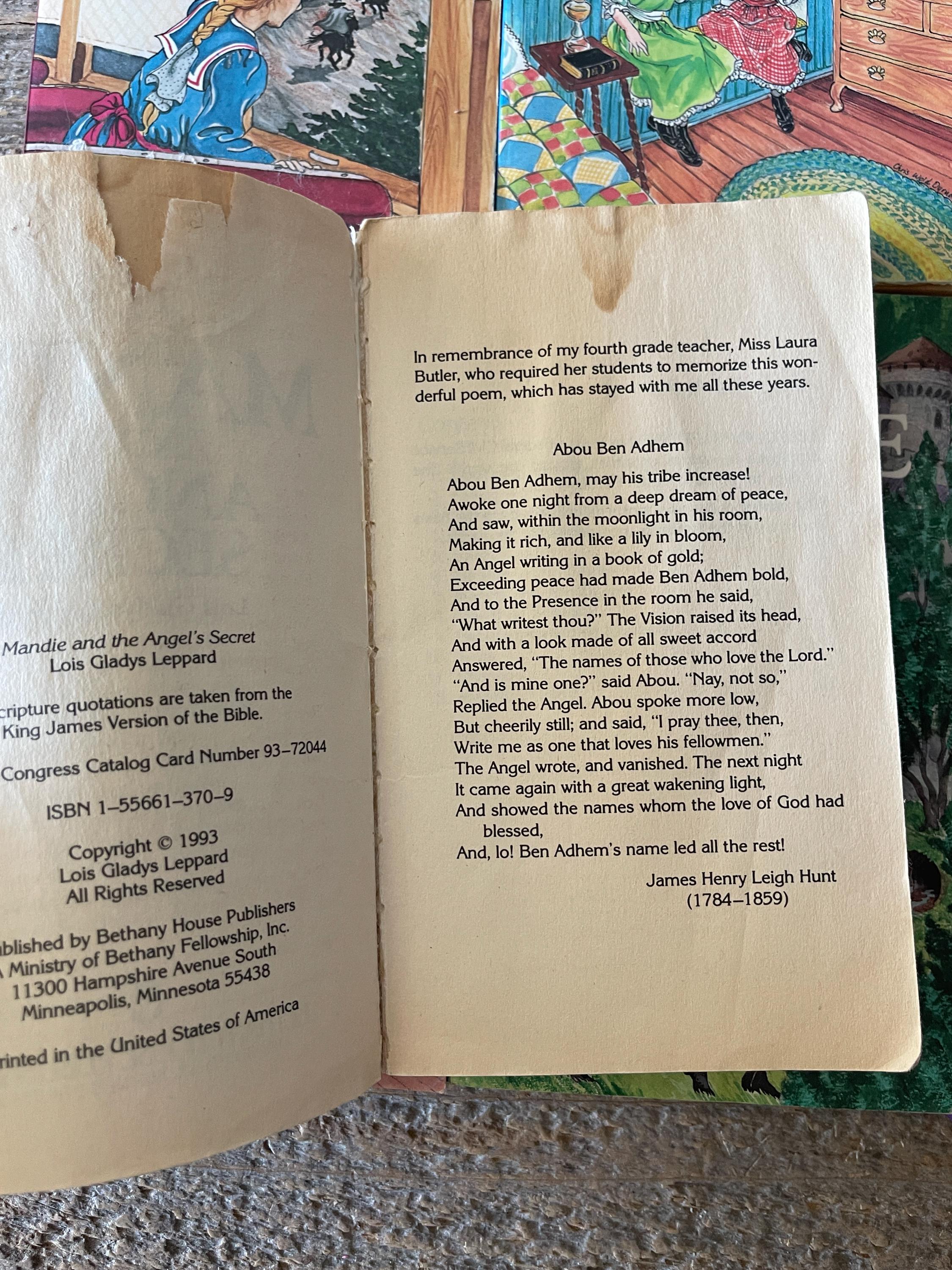 Vintage Mandie Series Books // Sold Individually // Lois Gladys Leppard ...