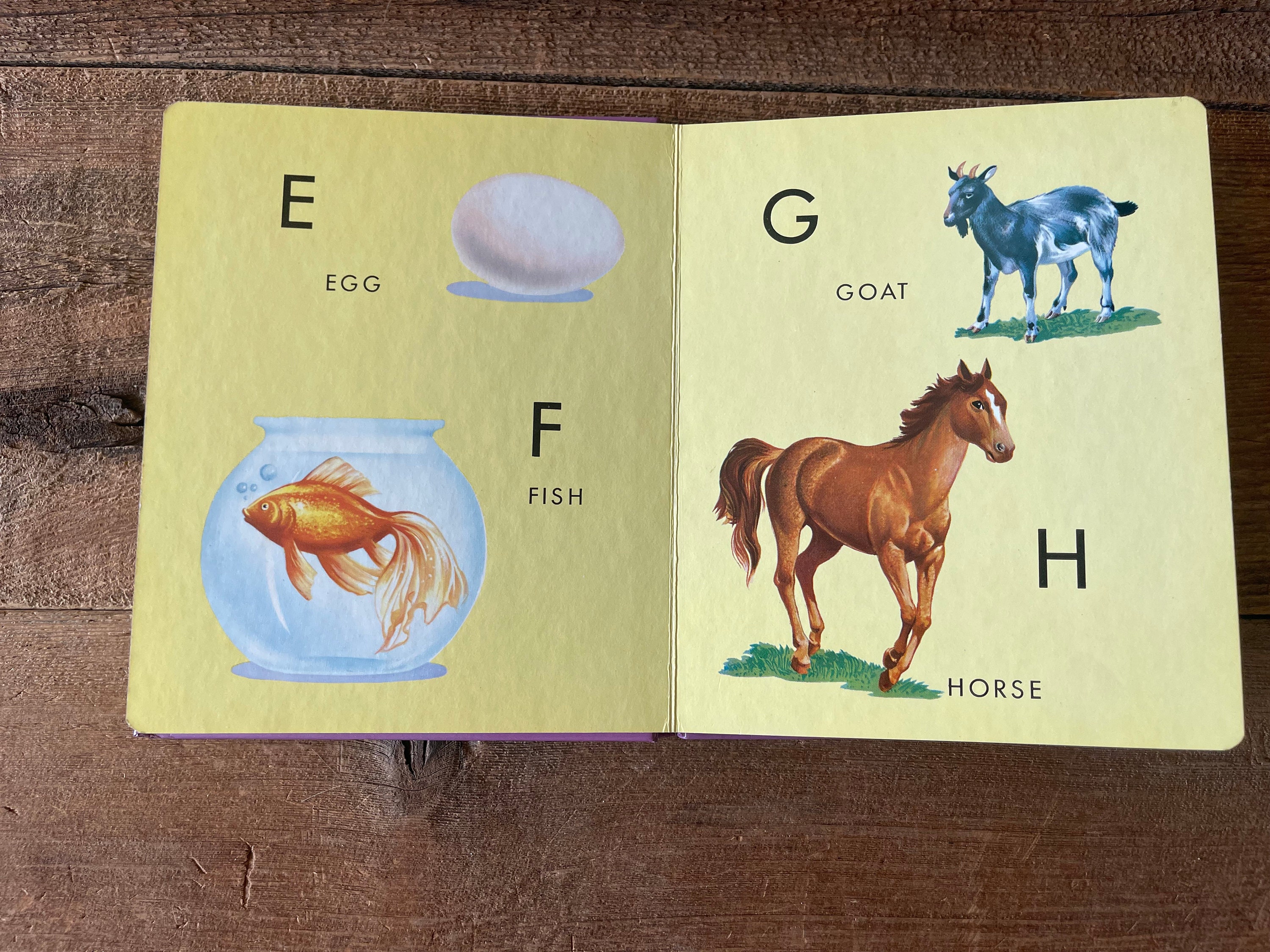 Baby's First ABC Board Book // Teddy Board Book // - Etsy