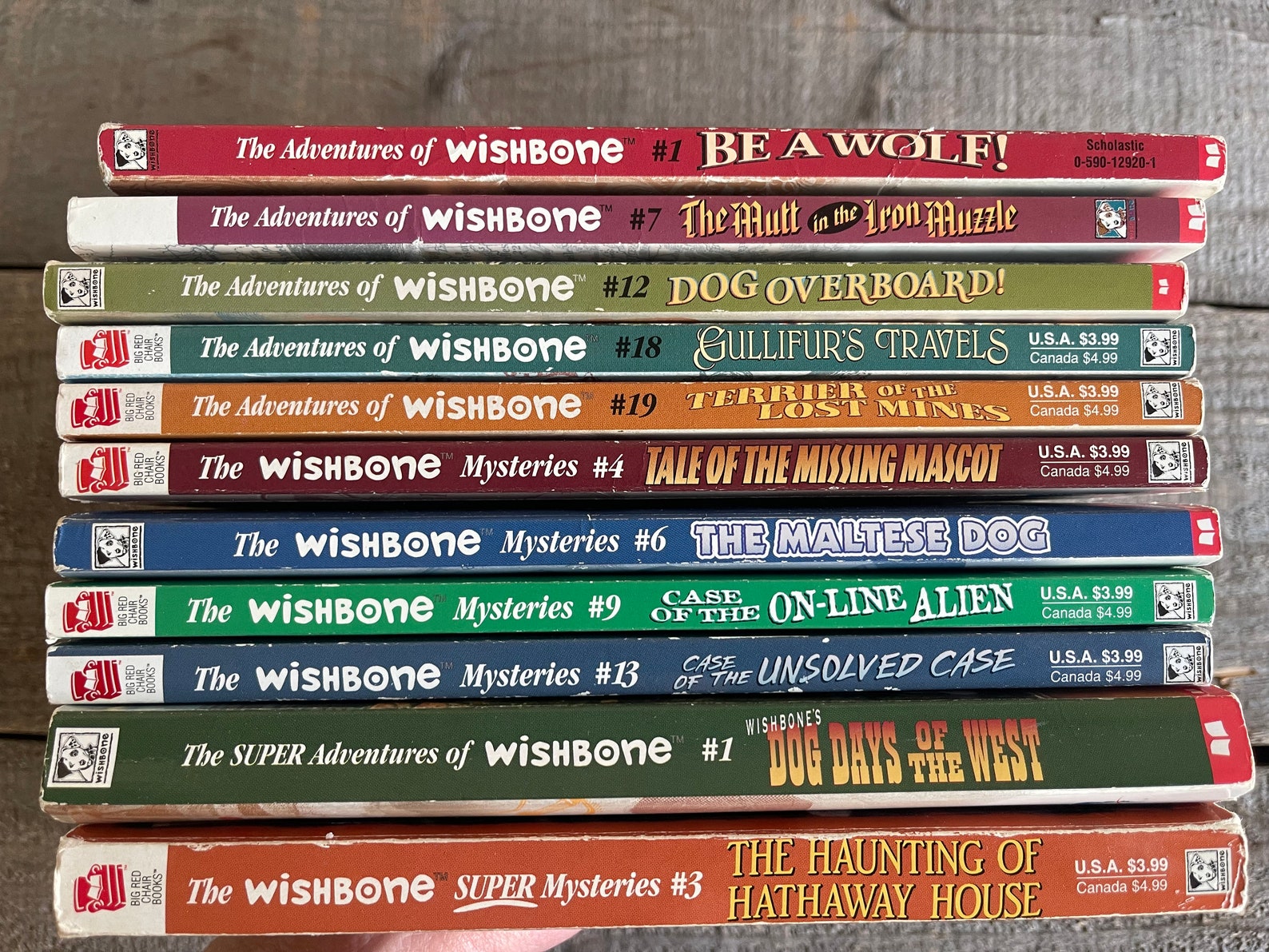 Vintage Wishbone Books: 1990s PBS Children's Series - You Choose - Etsy