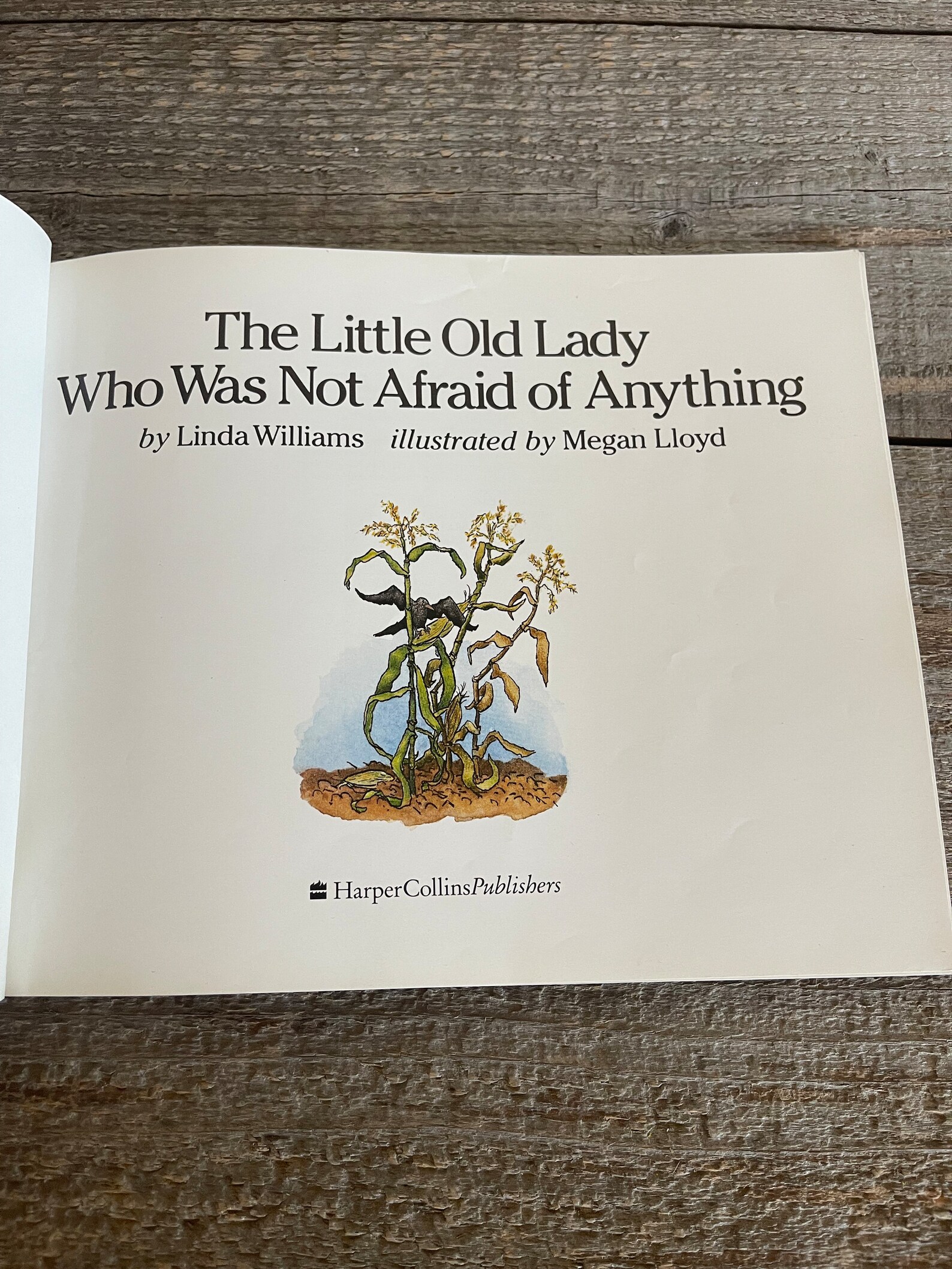 The Little Old Lady Who Was Not Afraid of Anything // Linda - Etsy