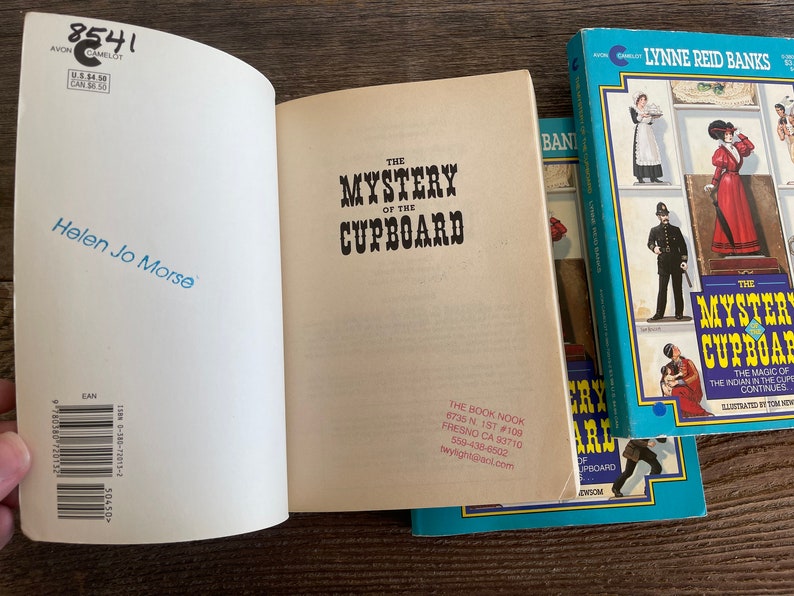 The Indian in the Cupboard Book Series // Sold Individually // Lynne ...