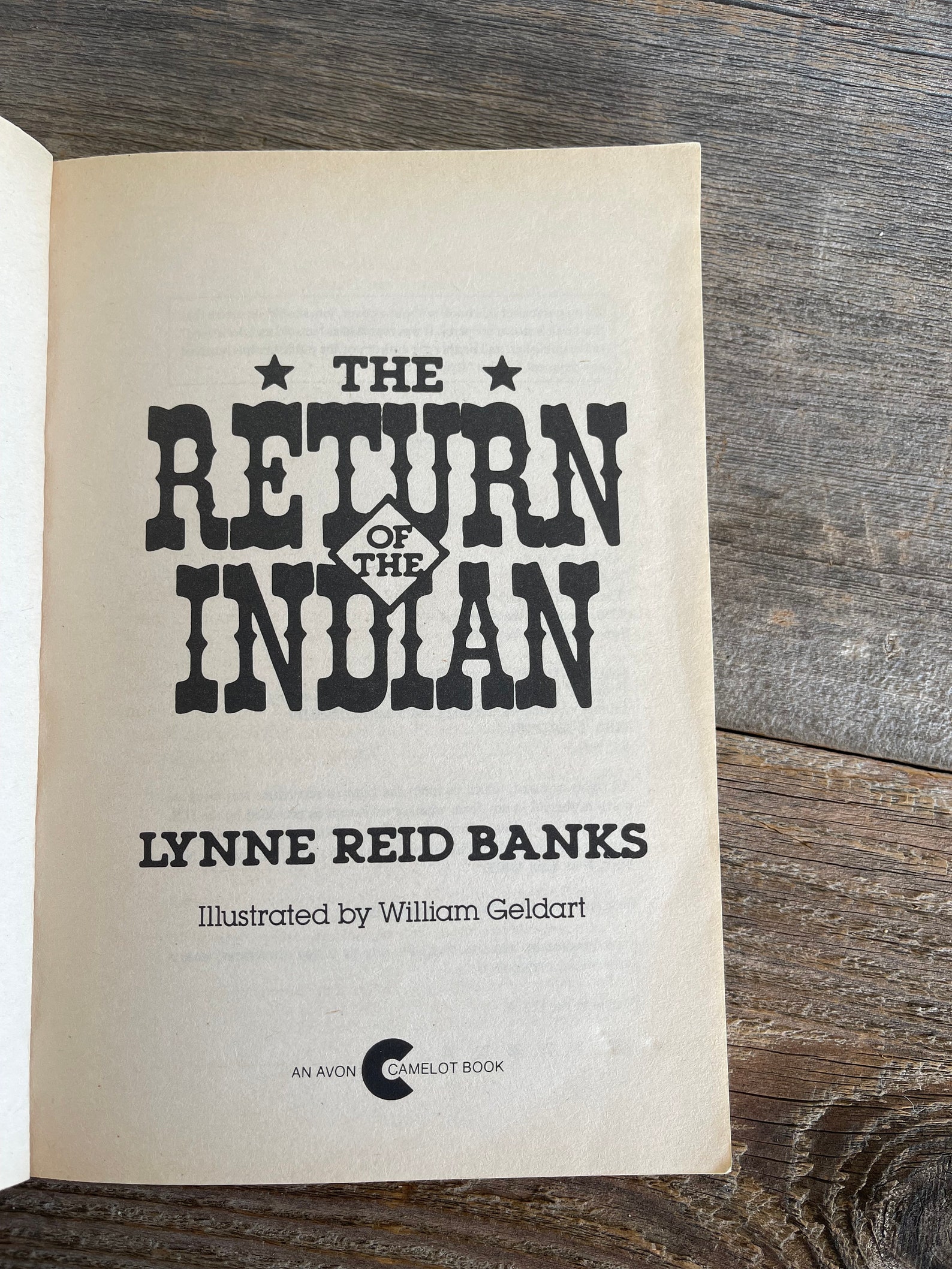 The Indian in the Cupboard Book Series // Choose One // Lynne - Etsy