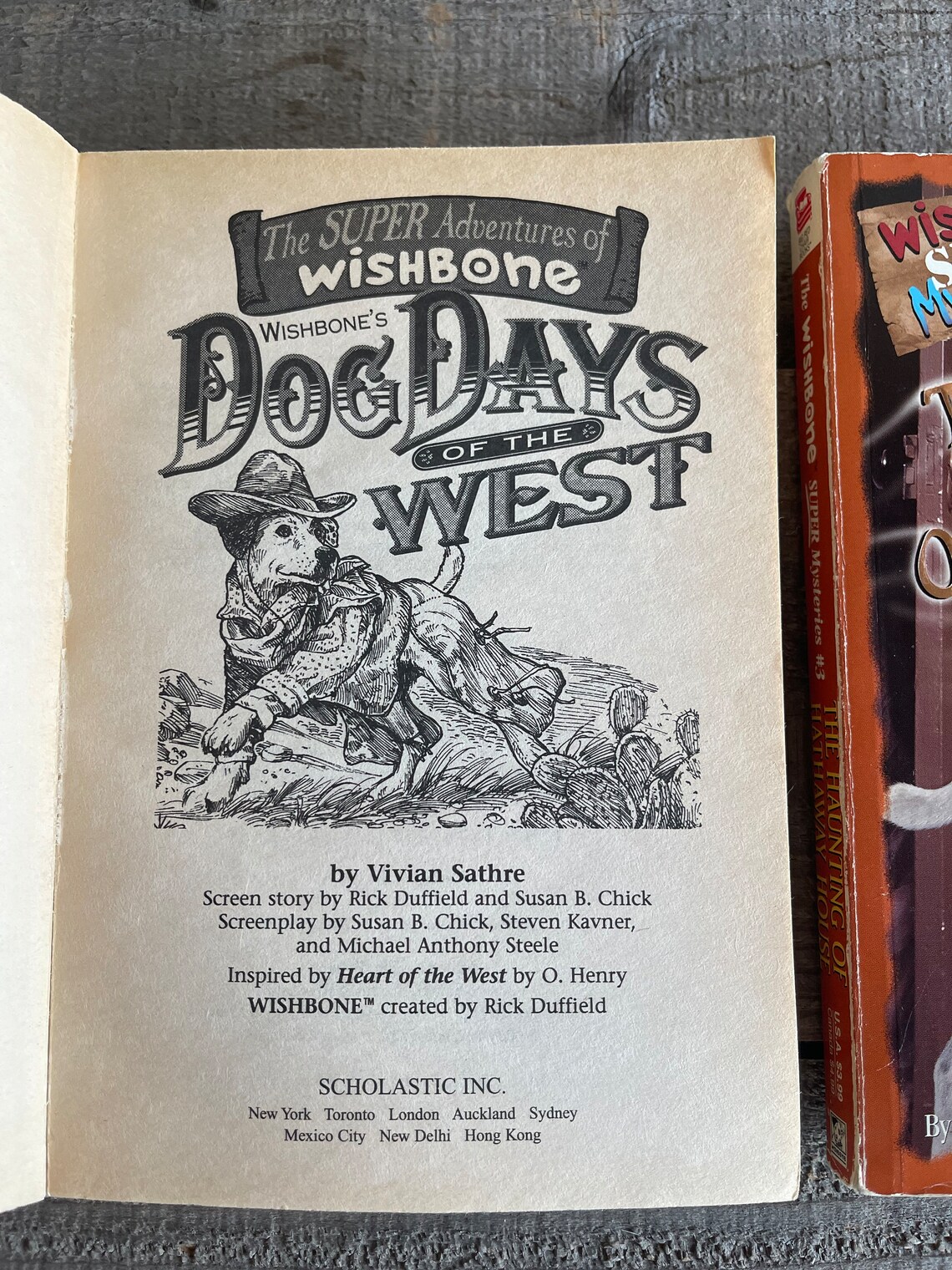 Vintage Wishbone Books: 1990s PBS Children's Series - You Choose - Etsy