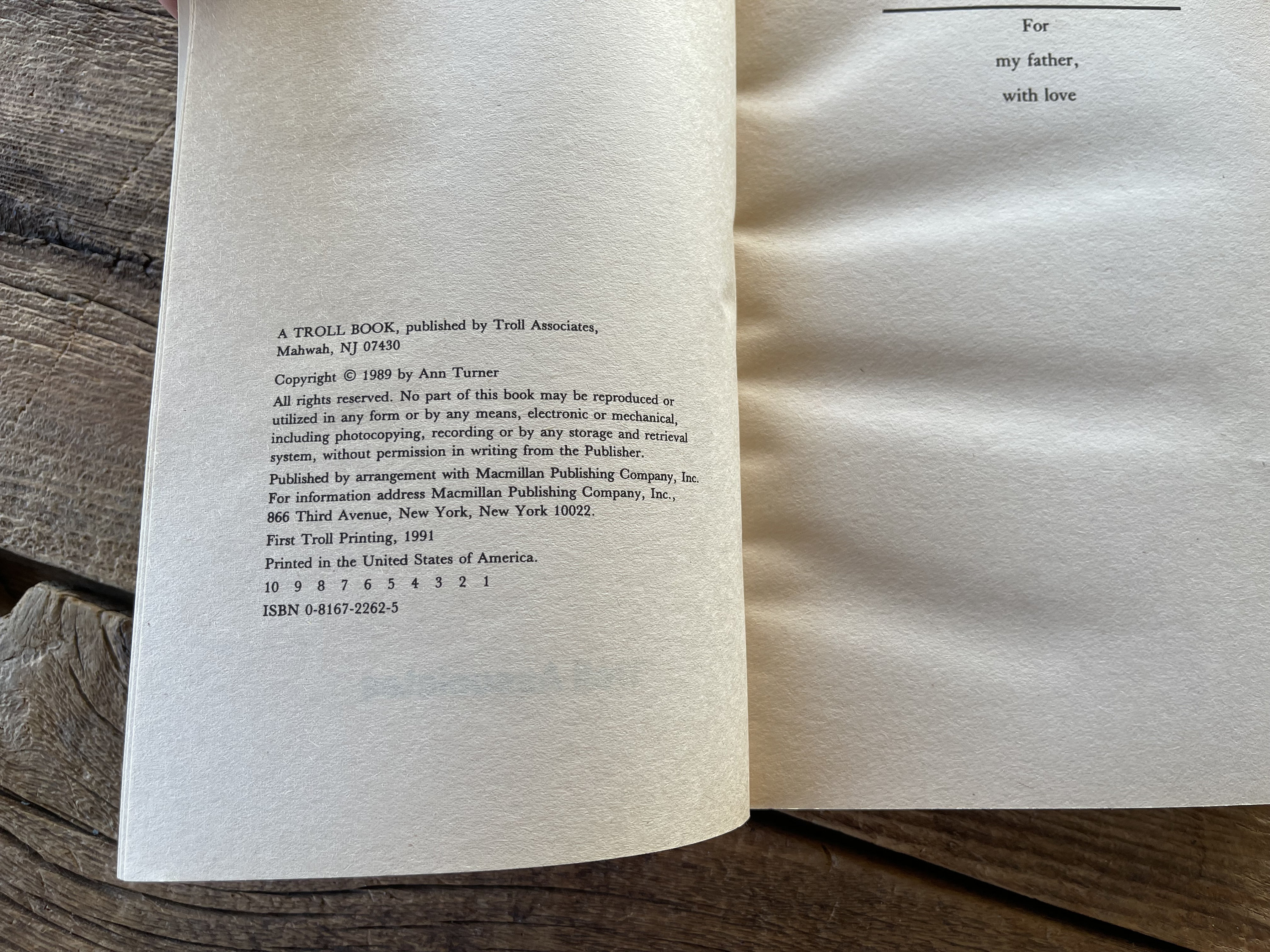 Grasshopper Summer // Ann Turner // Troll Book // 1991 - Etsy