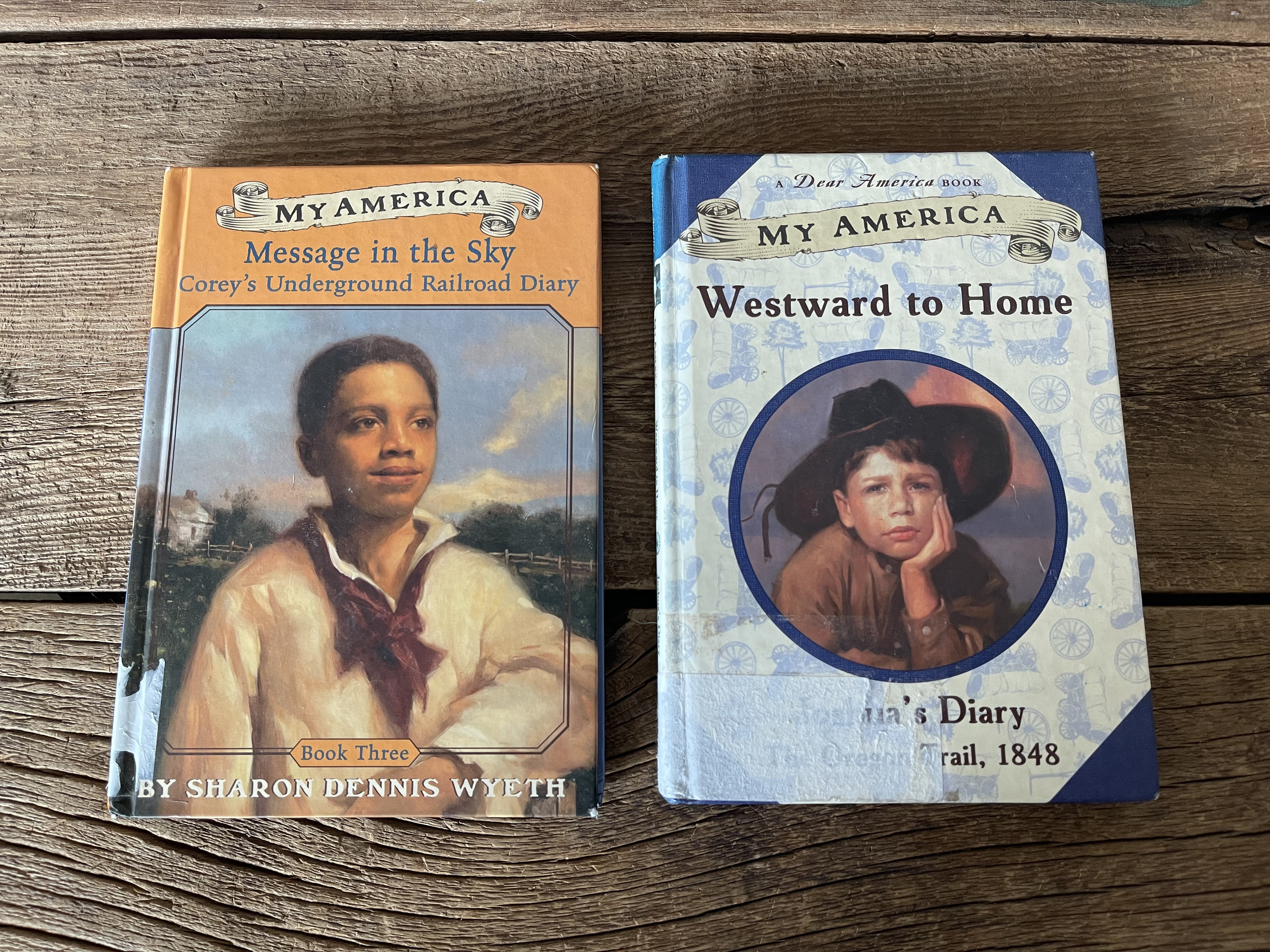 Dear America Books: My Name is America // You Choose // Young - Etsy