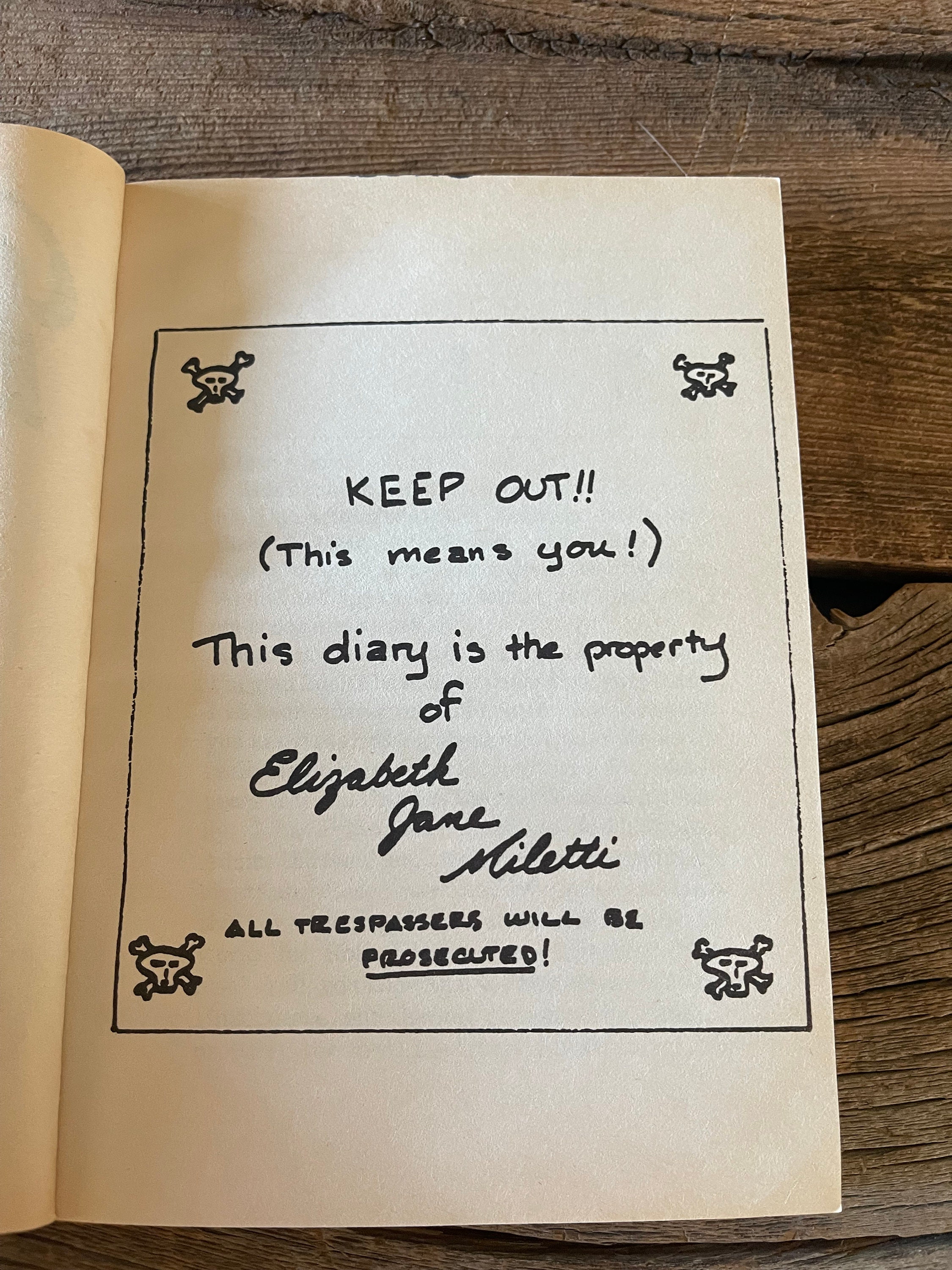 Dear Diary Books by Carrie Randall // You Choose // 1990's Young Adult ...