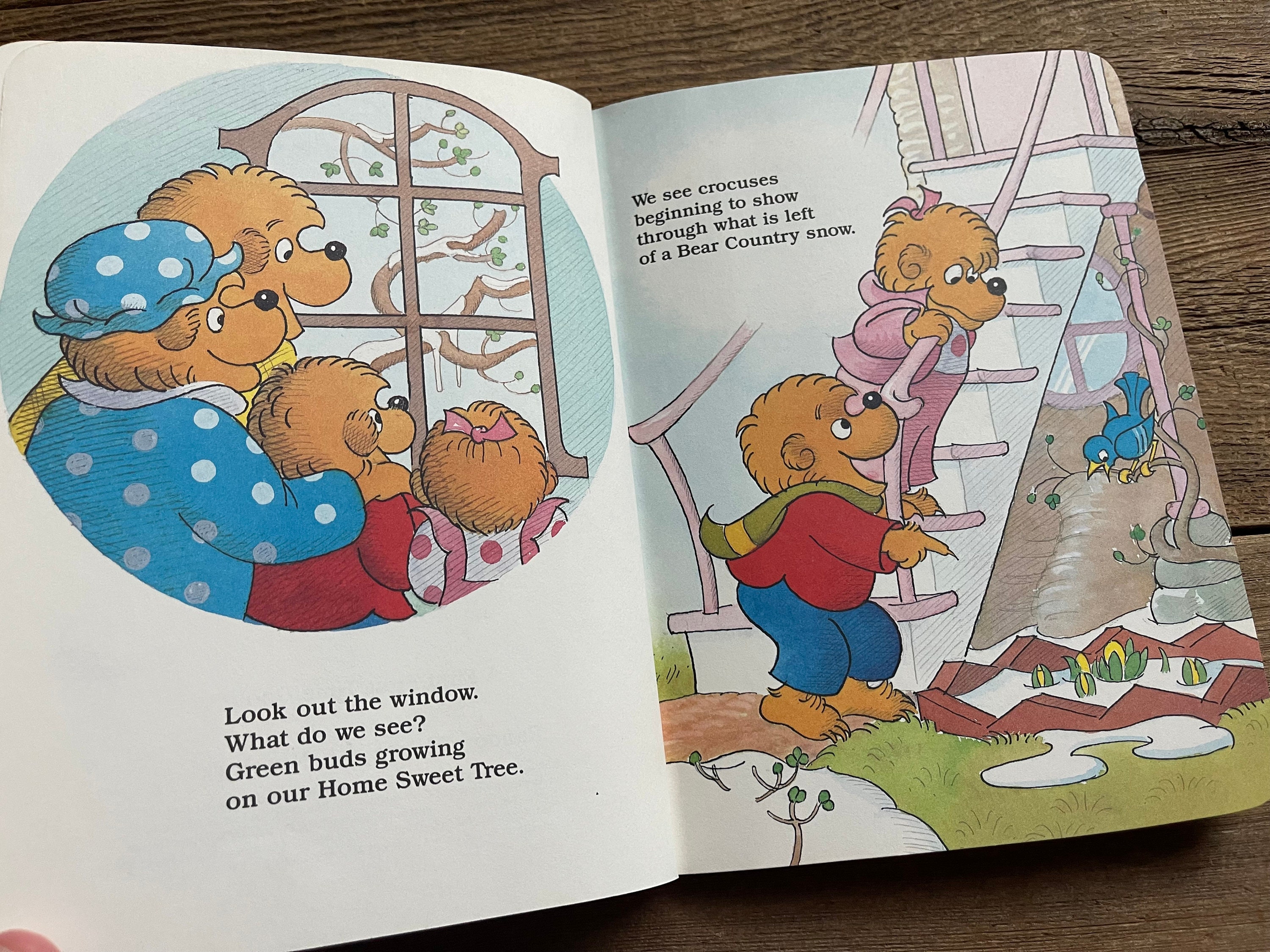The Berenstain Bears' Four Seasons // Stan & Jan - Etsy