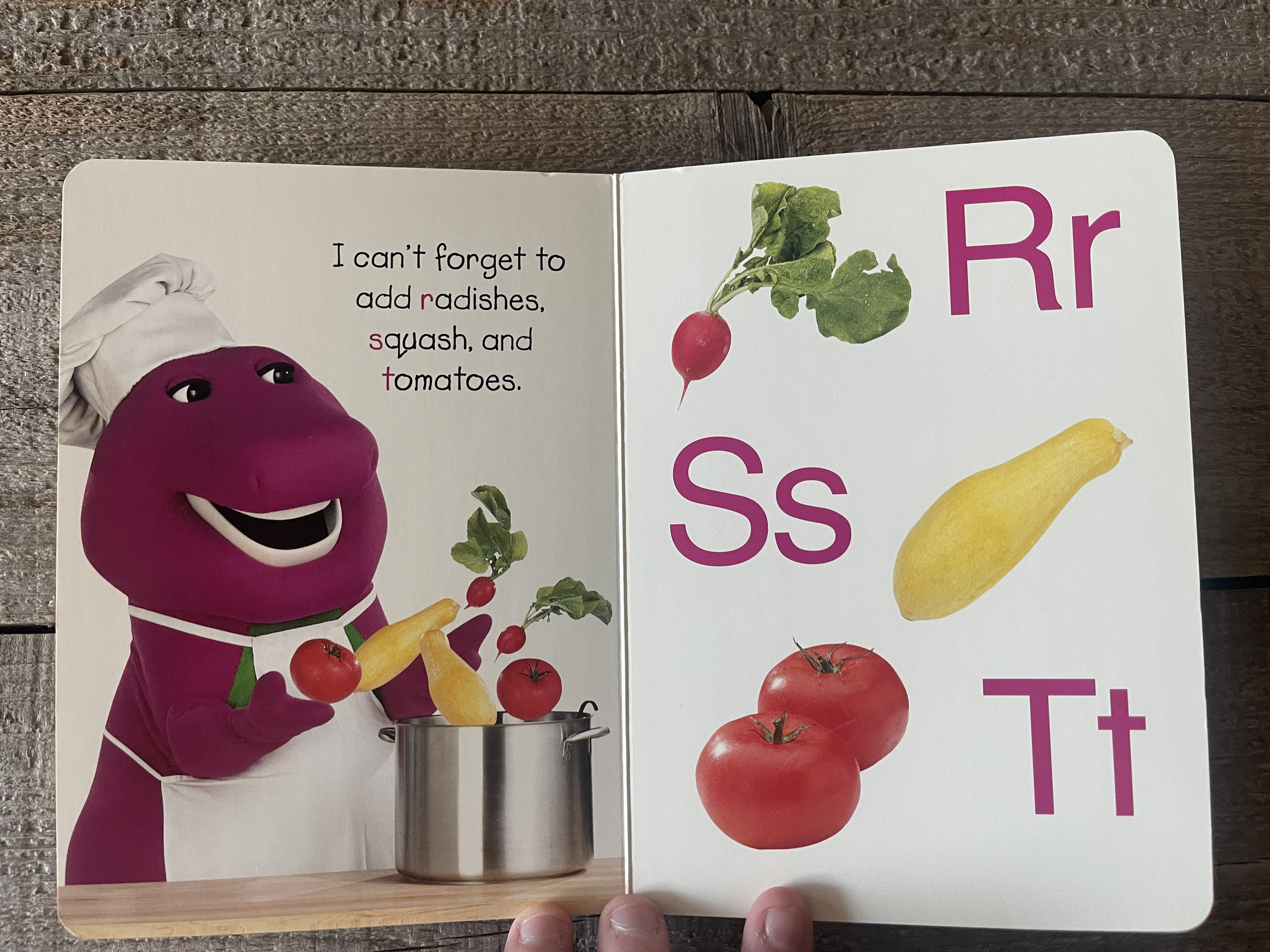 Vintage Barney Books // You Choose // Alphabet Soup, Baby Bop's ...