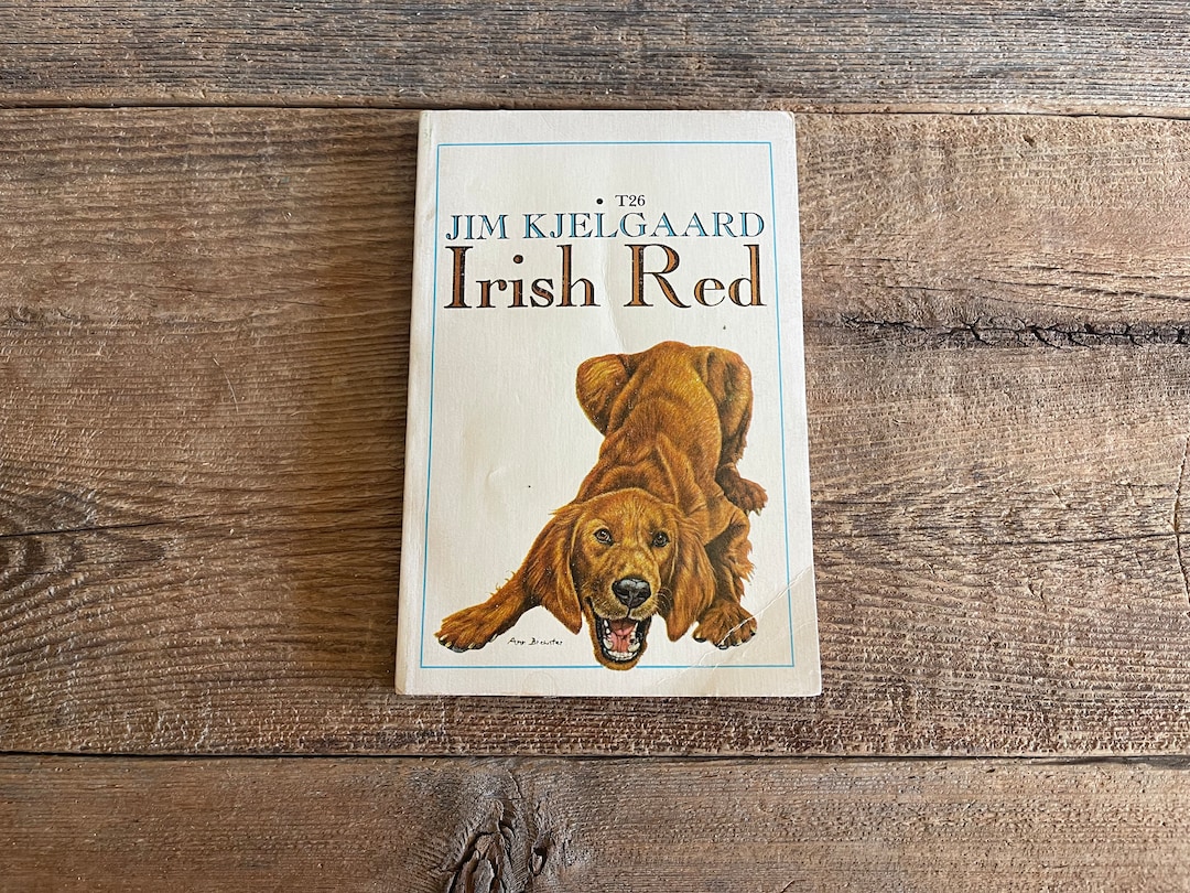 Irish Red // Jim Kjelgaard // 13th Printing 1972 // Scholastic Book - Etsy