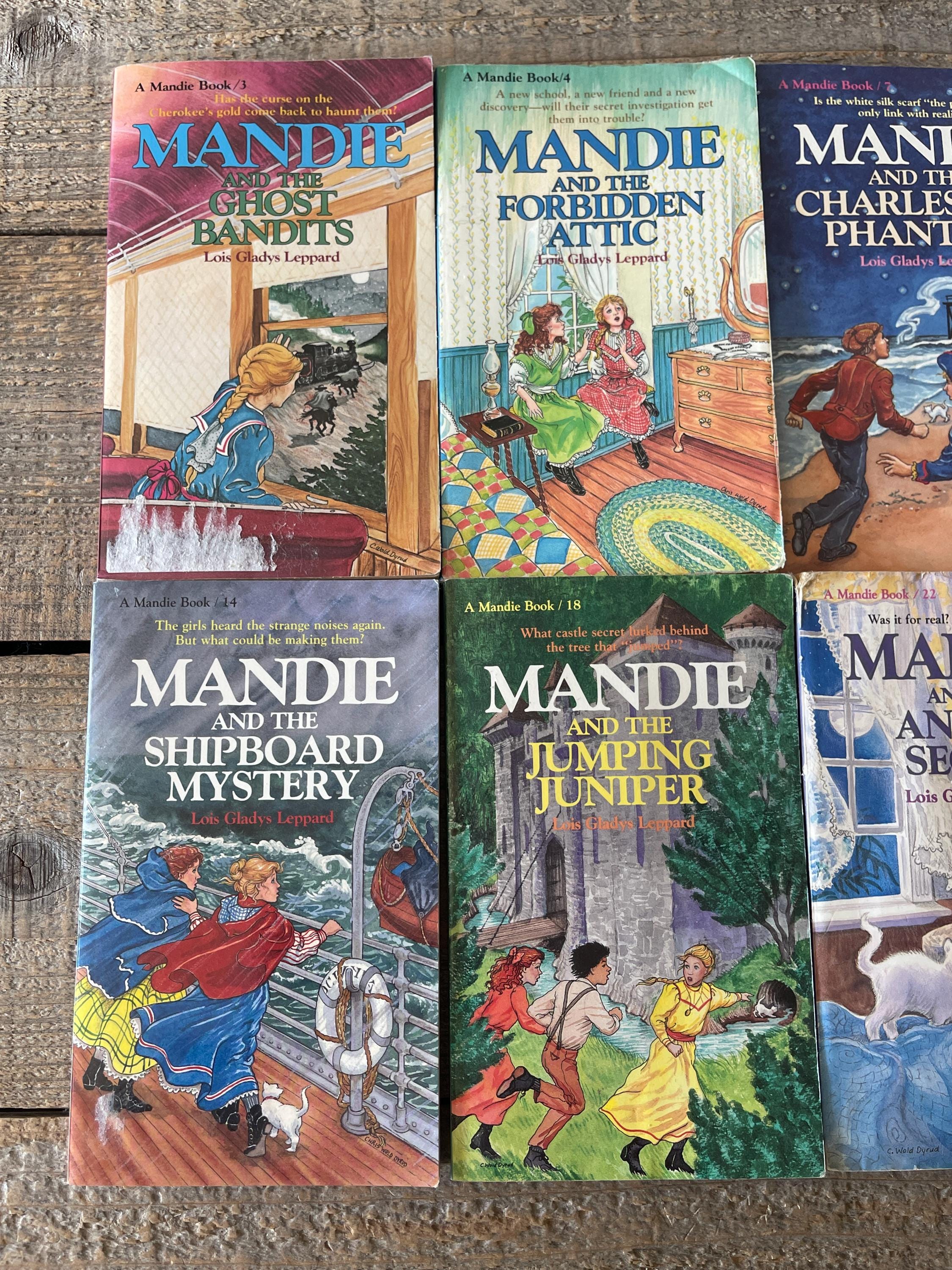 Vintage Mandie Series Books // Sold Individually // Lois Gladys Leppard ...