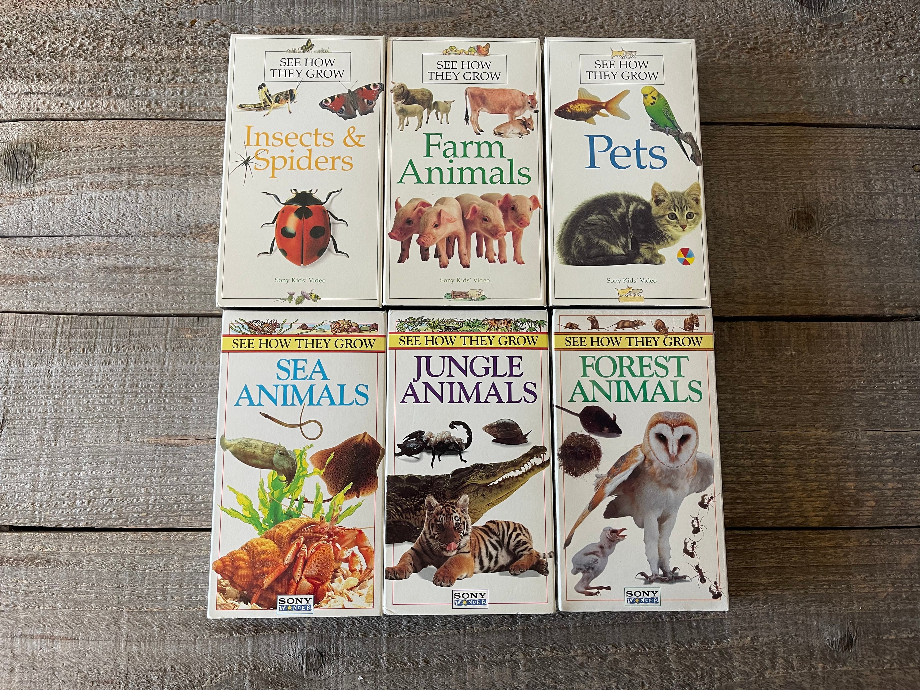 See How They Grow VHS Movies // You Choose // Insects & Spiders, Pets ...