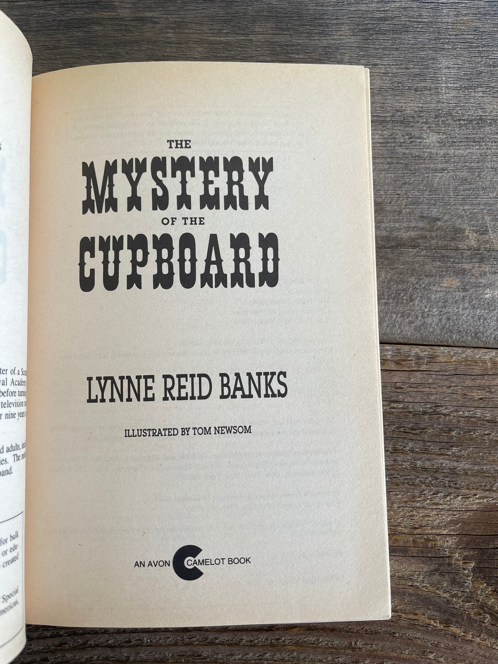 The Indian in the Cupboard Book Series // Choose One // Lynne - Etsy