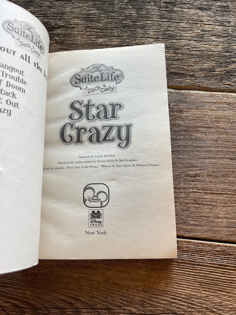 Disney Channel Books // You Choose // Cheetah Girls Suite - Etsy