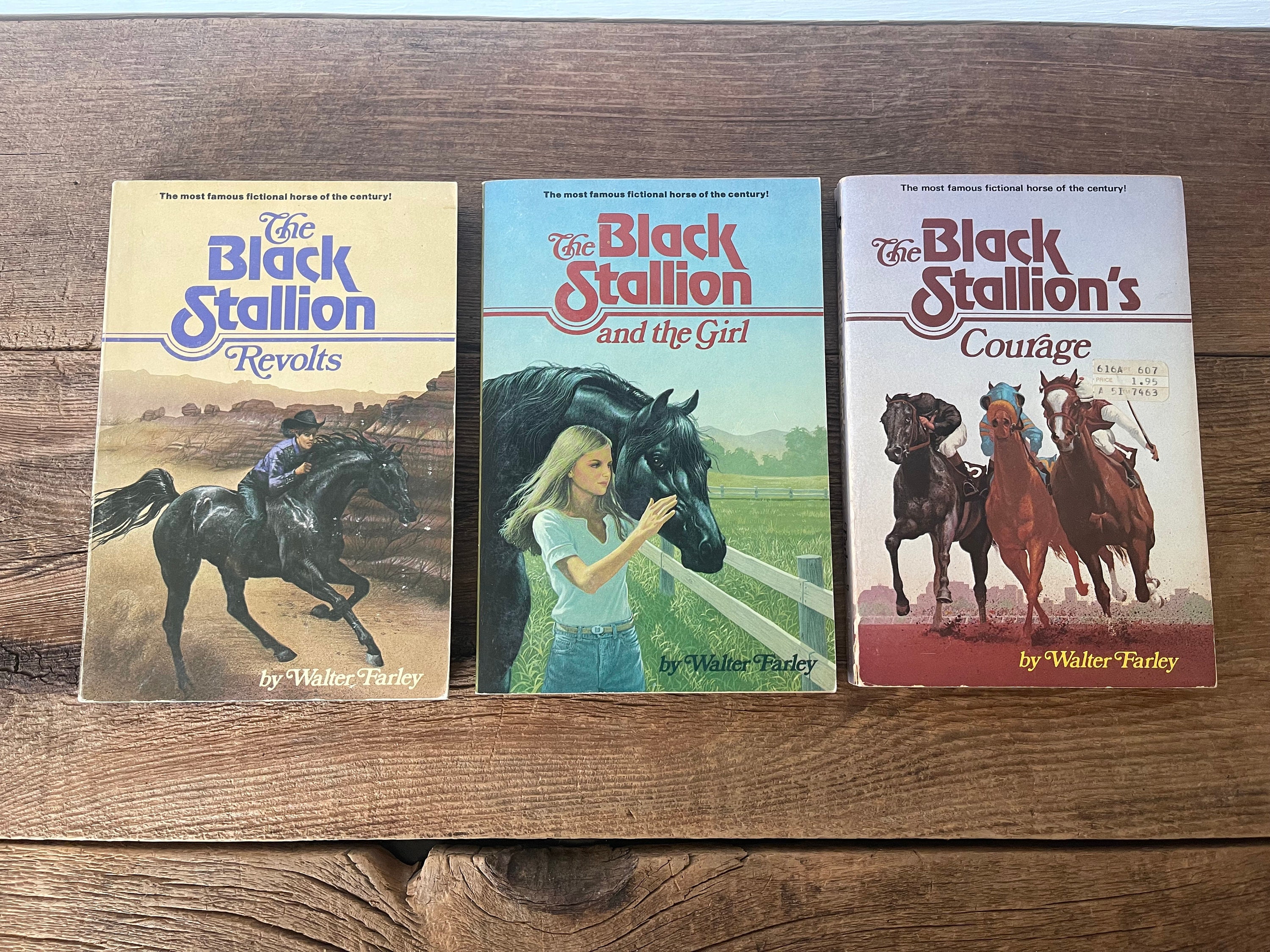 The Black Stallion Book Cover