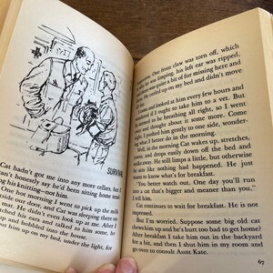 It's Like This, Cat // 1992 // Written by Emily Cheney Neville ...