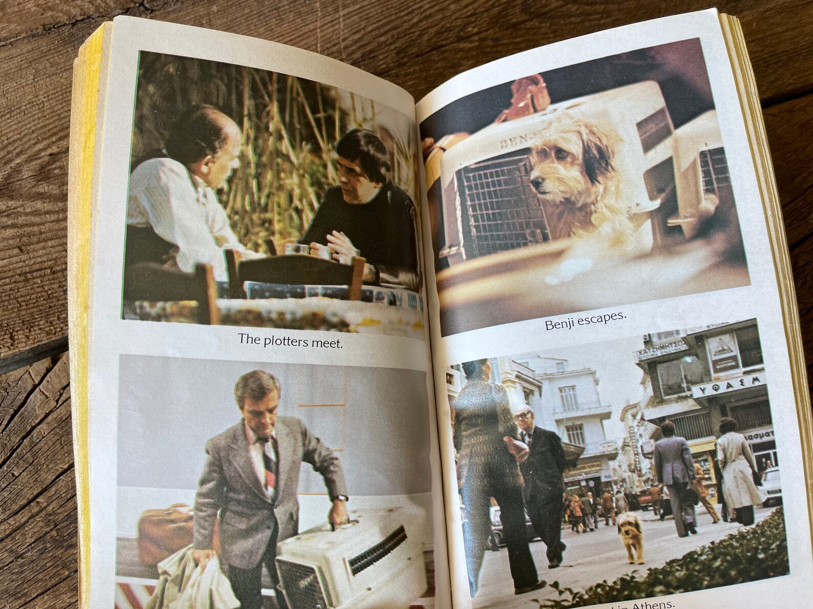 Vintage Book For the Love of Benji 1977 | Etsy