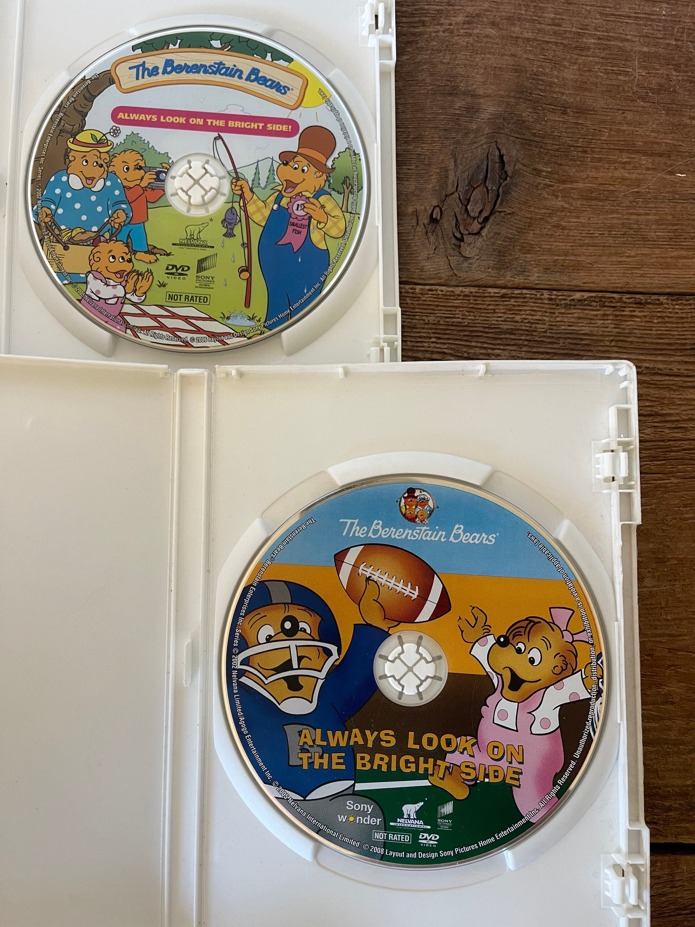 The Berenstain Bears DVD // You Choose // Nelvana - Etsy