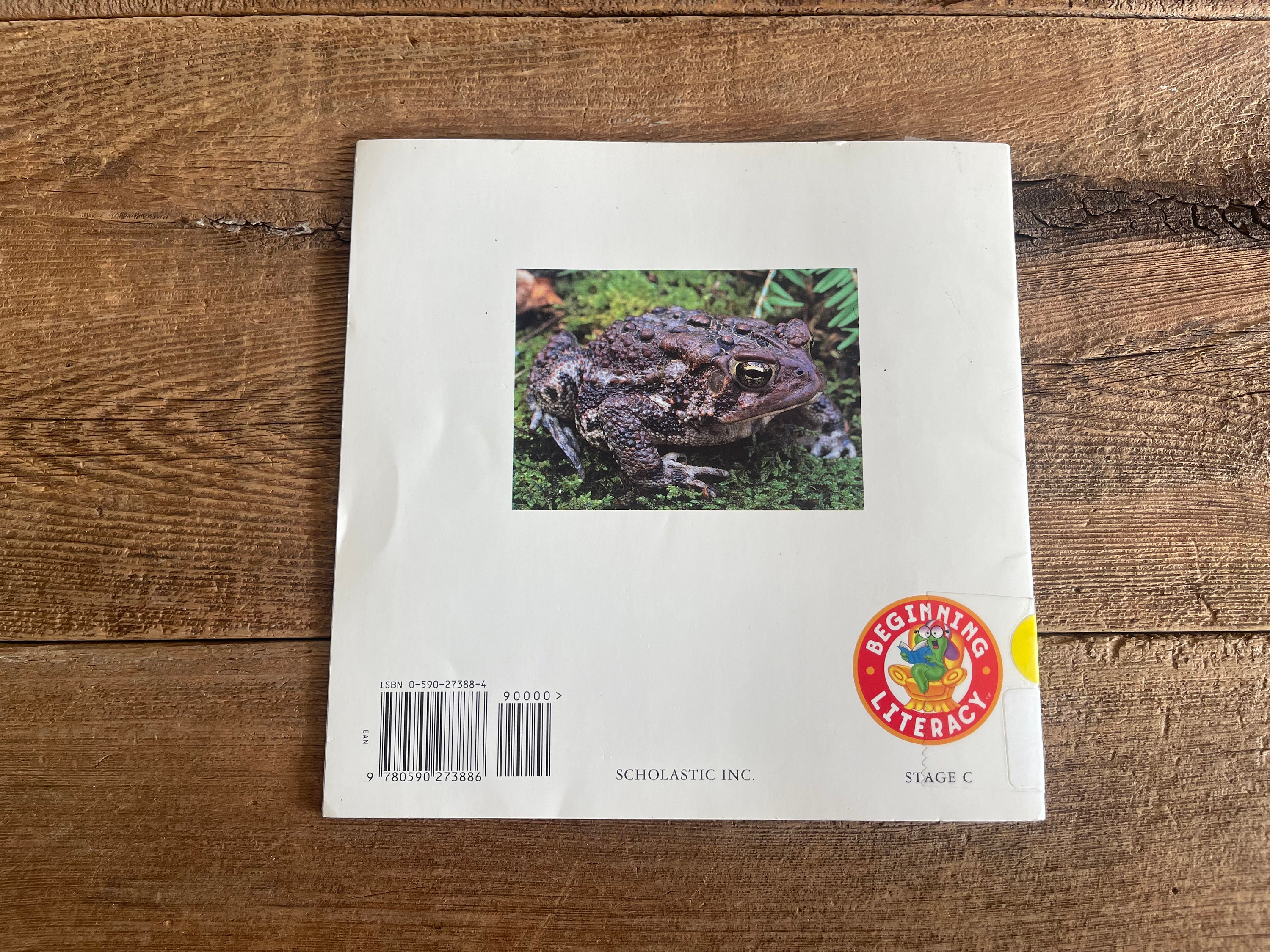 Look-alike Animals // Robin Bernard // Vintage Scholastic Book - Etsy