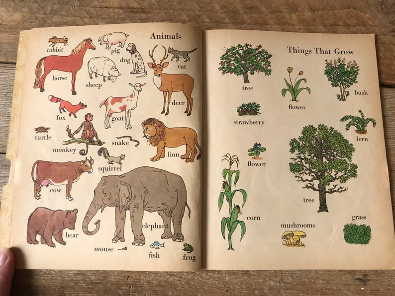 1955 Little Golden Activity Book Called the Little Golden Book of Words ...