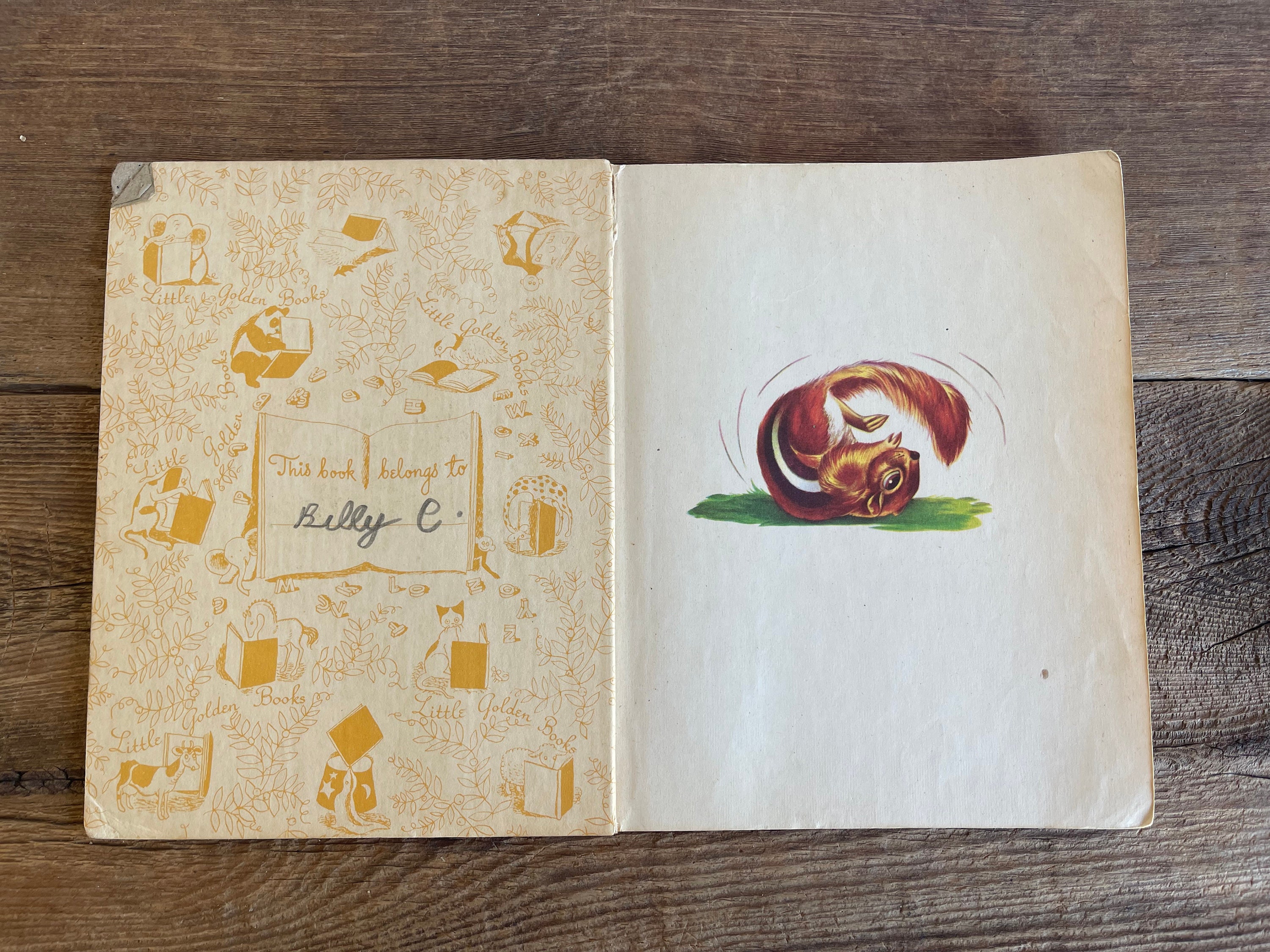 Chip Chip, 1947 Little Golden Book - Etsy