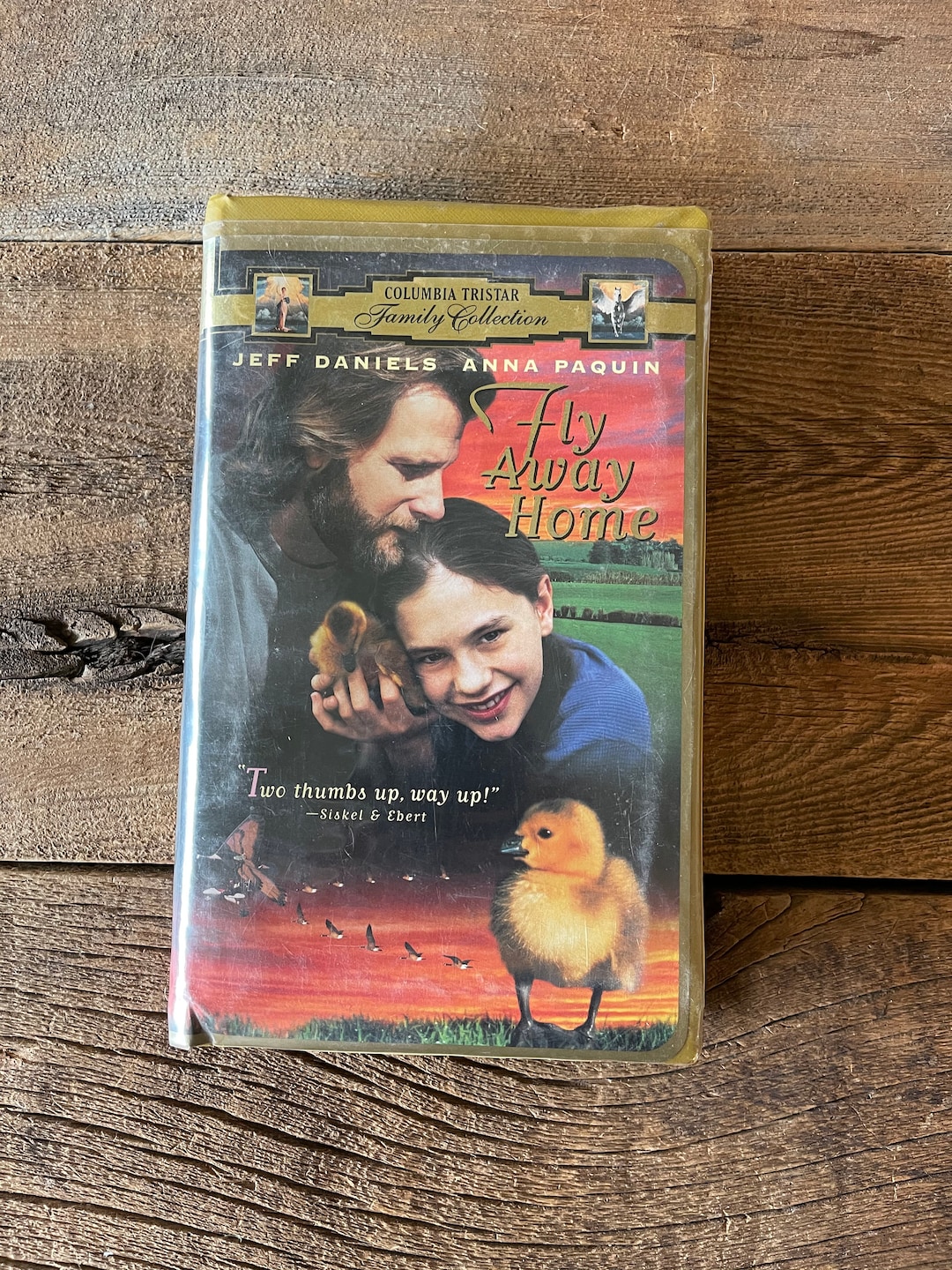Vintage VHS Movie, "fly Away Home" Featuring Jeff Daniels and Anna ...