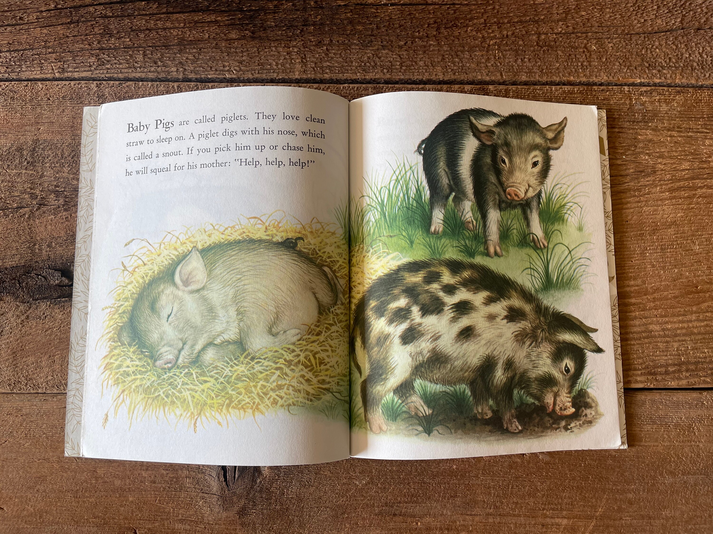 Baby Farm Animals // A Little Golden Book 1991 // Garth Williams - Etsy