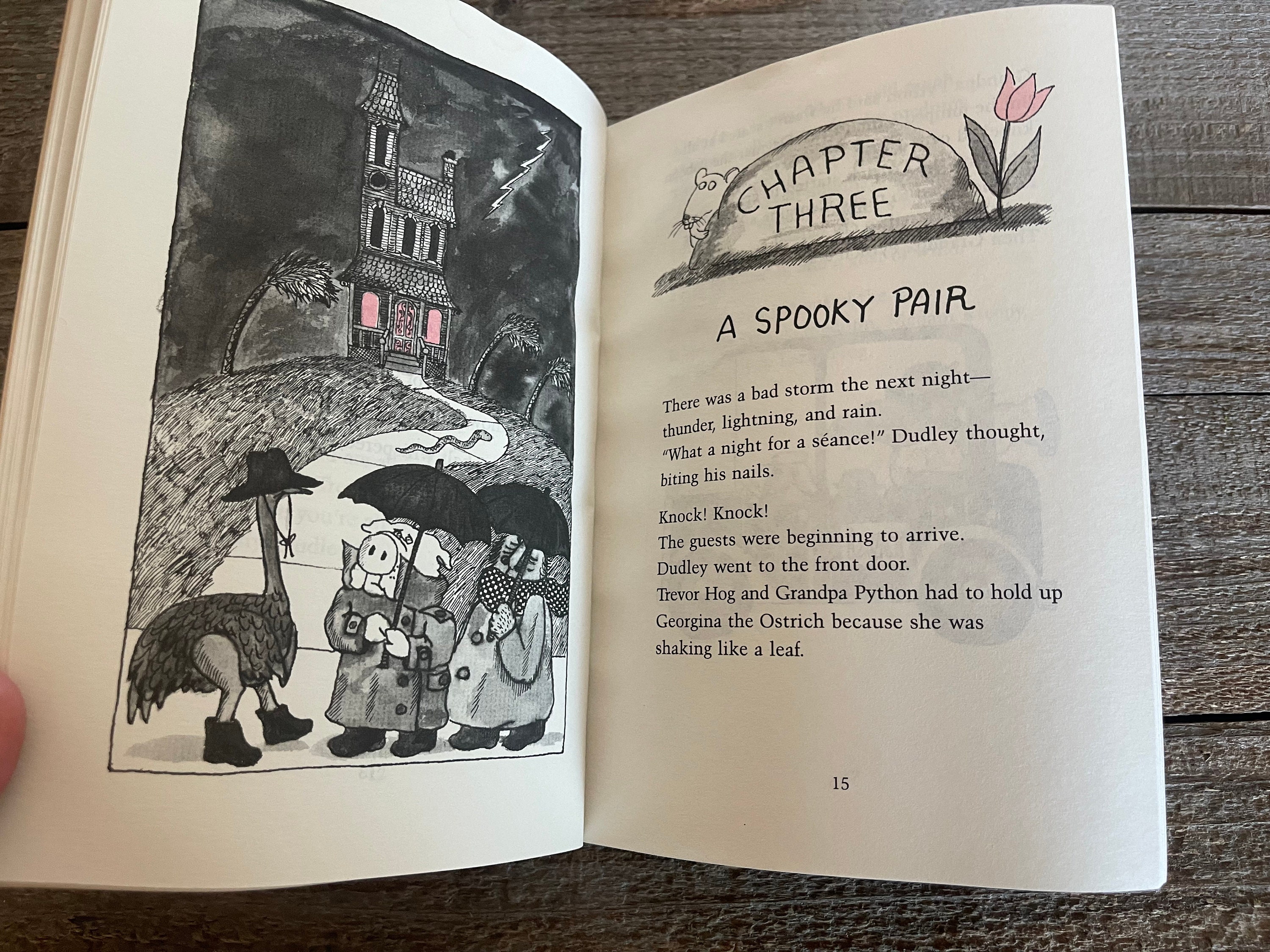 Bumps in the Night // Harry Allard James Marshall // - Etsy