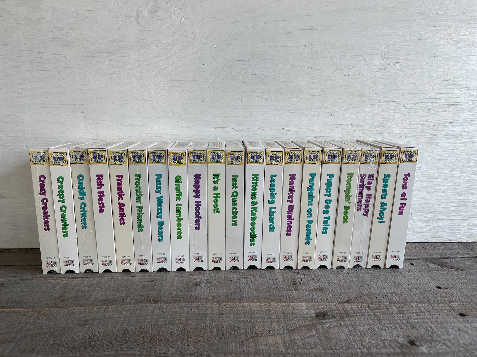 Growing up Wild Series 1990's VHS Movies // You Choose // Sold ...