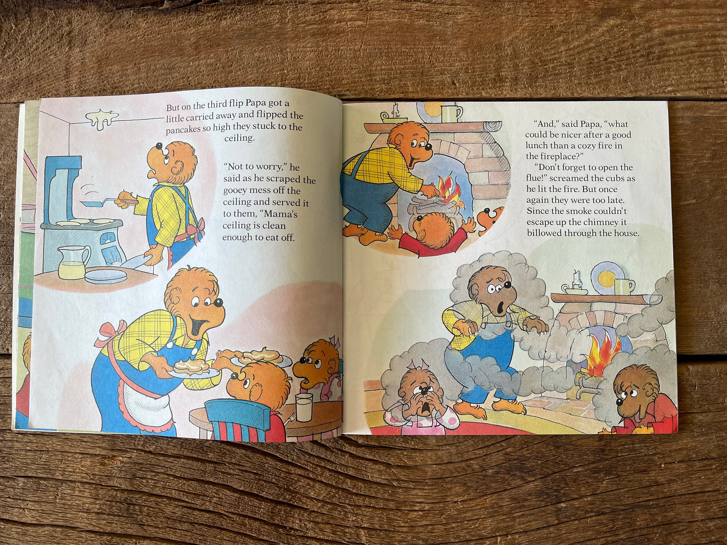 You Choose // the Berenstain Bears' Book life With - Etsy