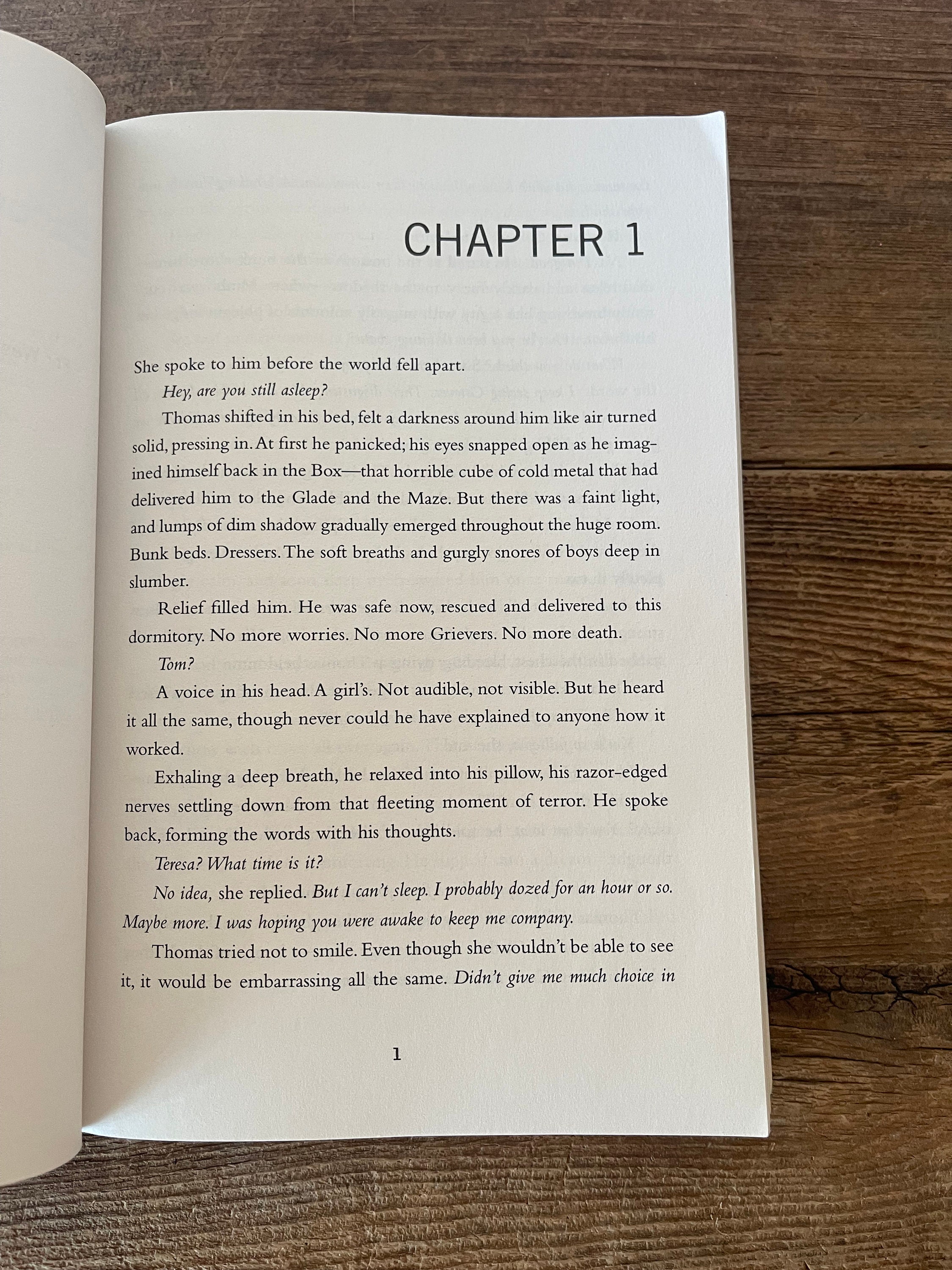 The Scorch Trials // James Dashner // Maze Runner Trilogy Book - Etsy