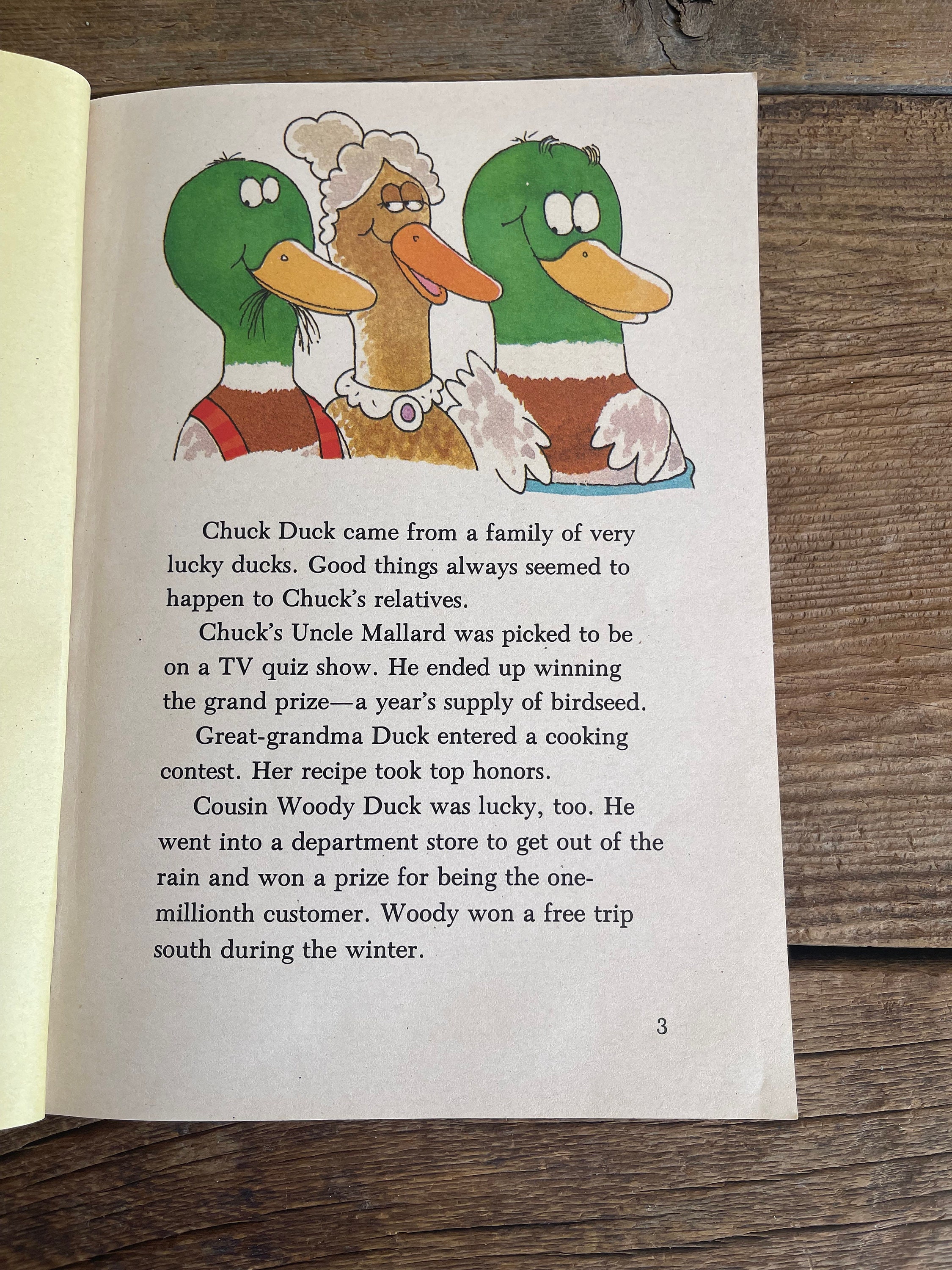 Chucky the Unlucky Duck // 1989 // Troll Associates - Etsy