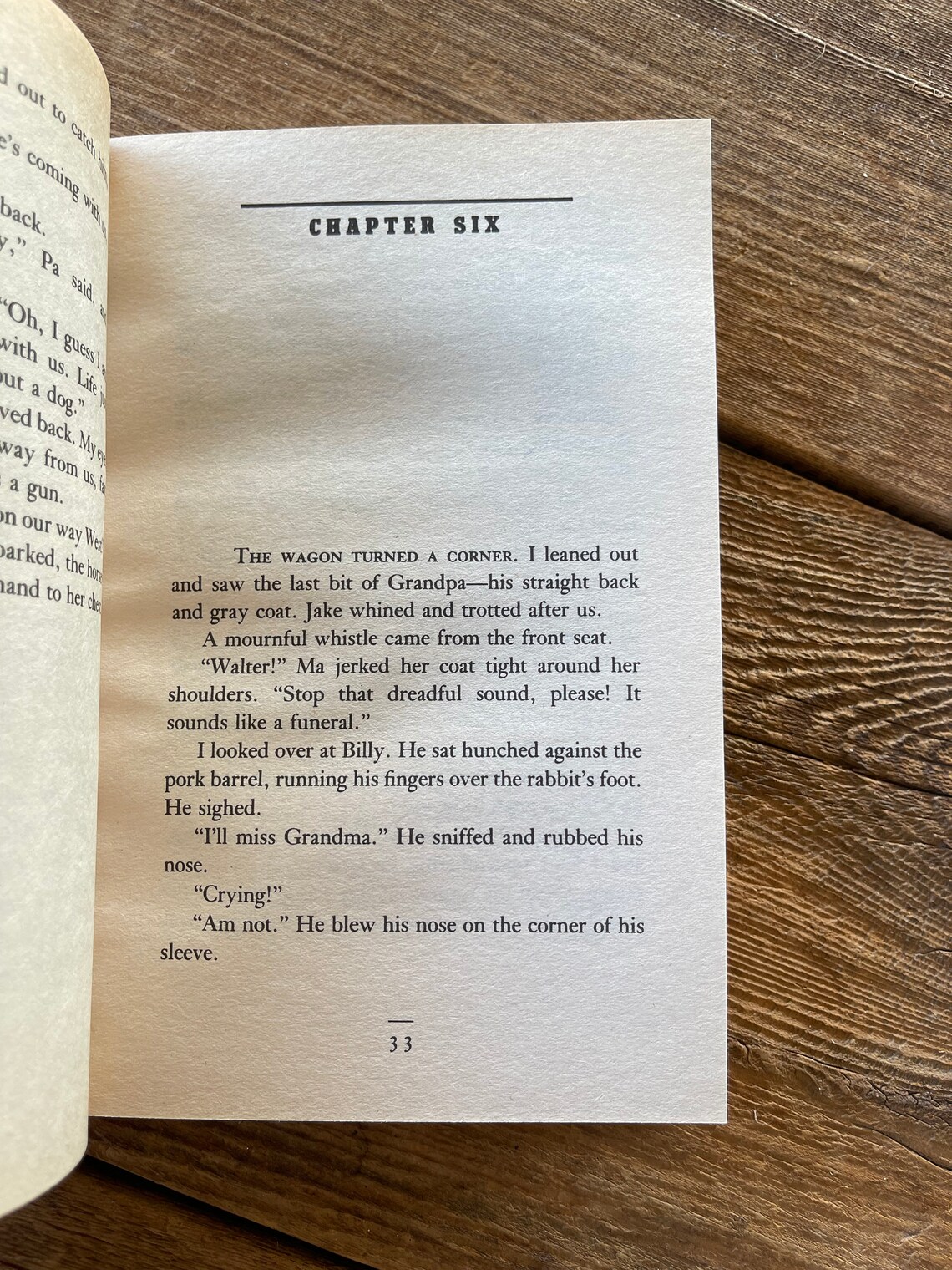 Grasshopper Summer // Ann Turner // Troll Book // 1991 - Etsy