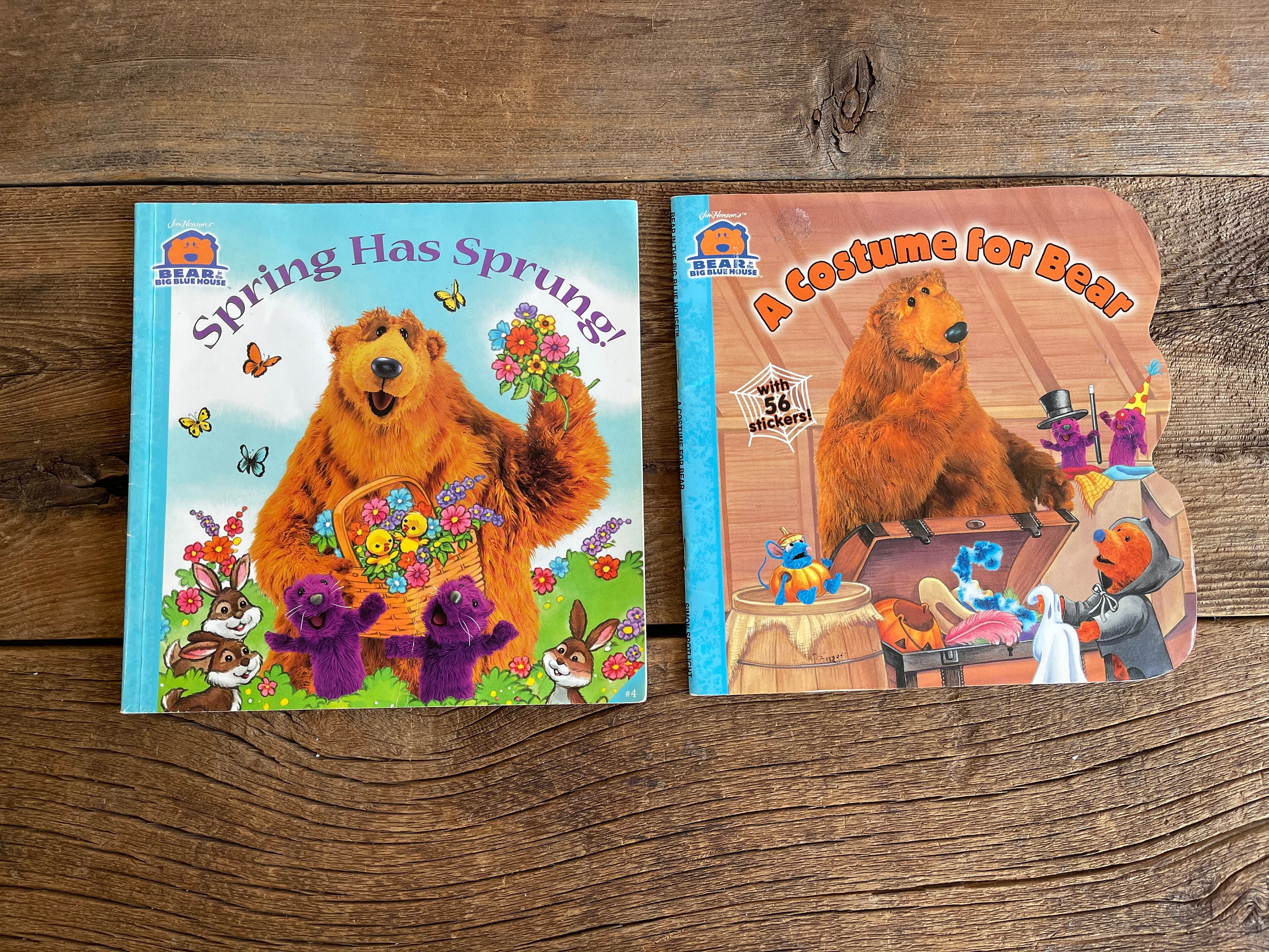 Bear In The Big Blue House Books