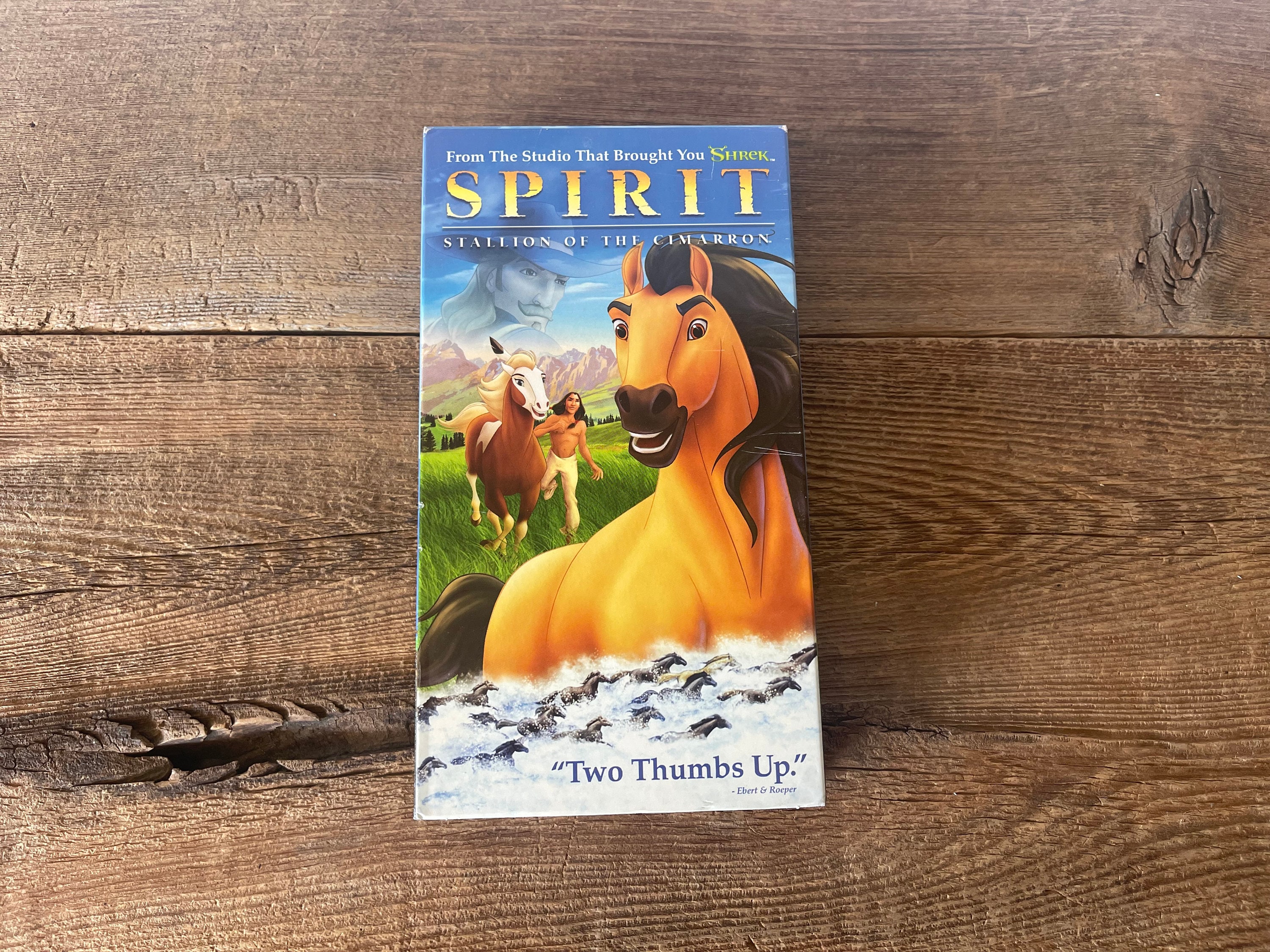 Spirit Stallion Of The Cimarron Coloring Book