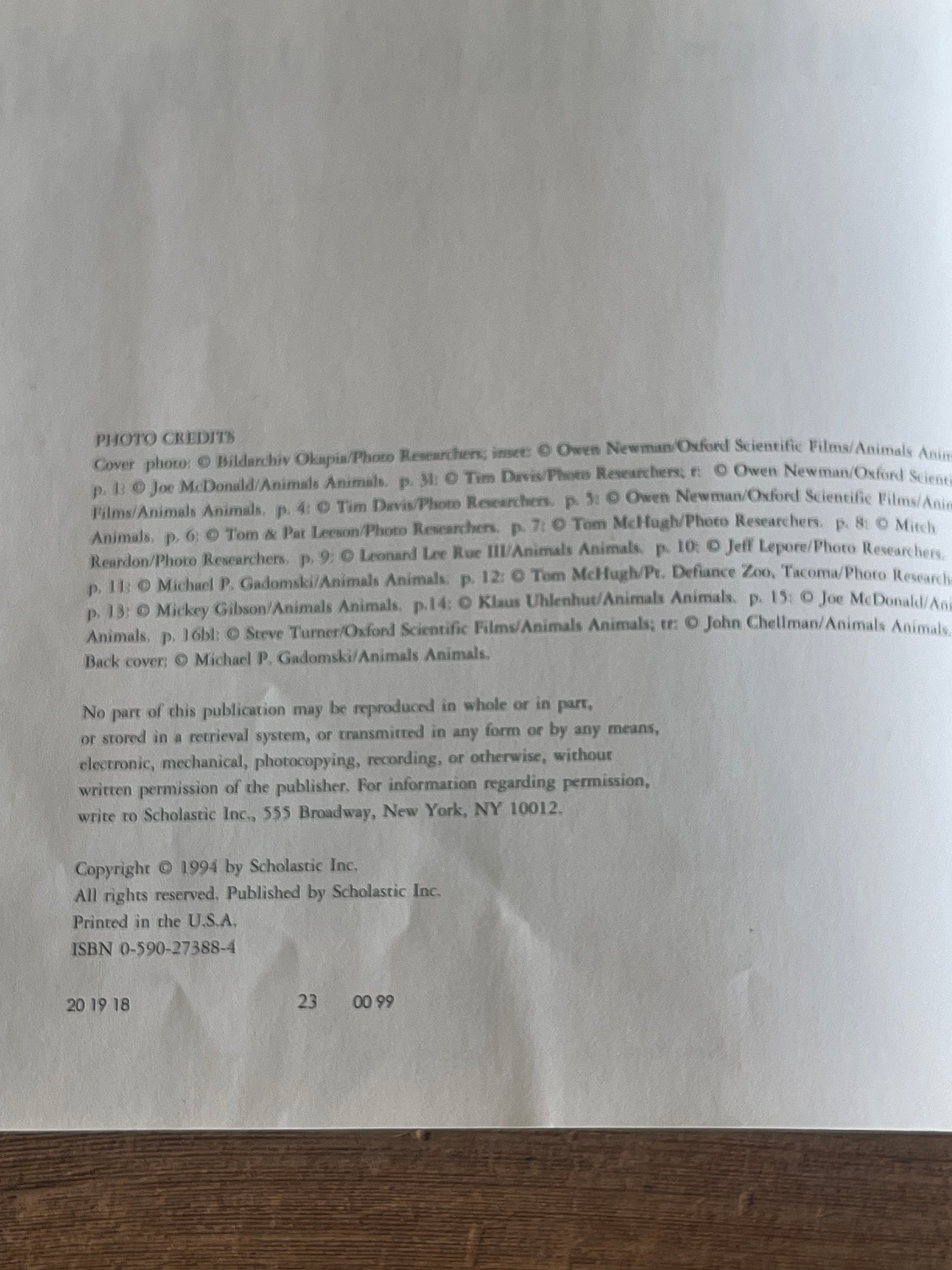 Look-alike Animals // Robin Bernard // Vintage Scholastic Book - Etsy