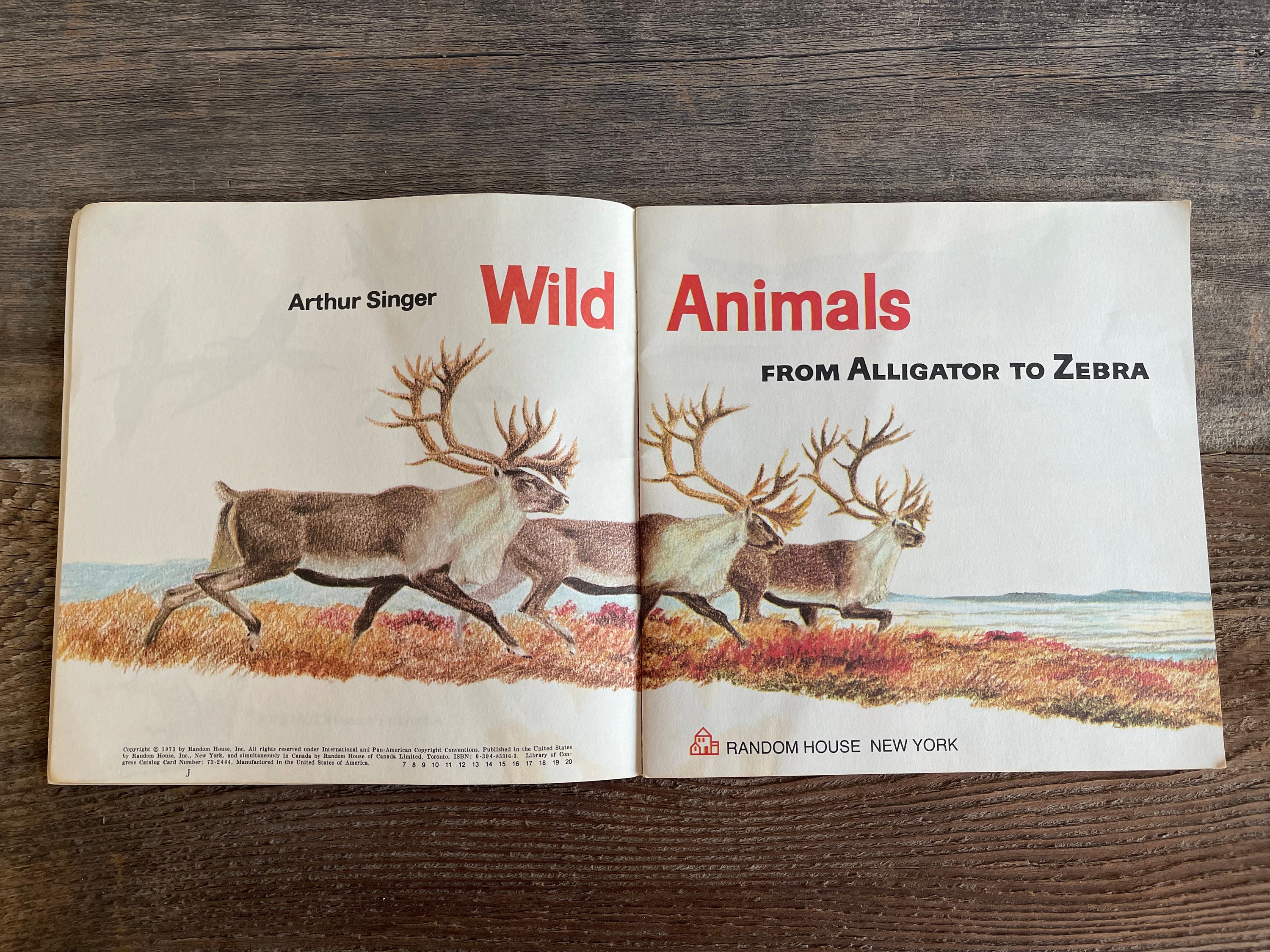 Wild Animals Book: Arthur Singer, 1973 - Etsy