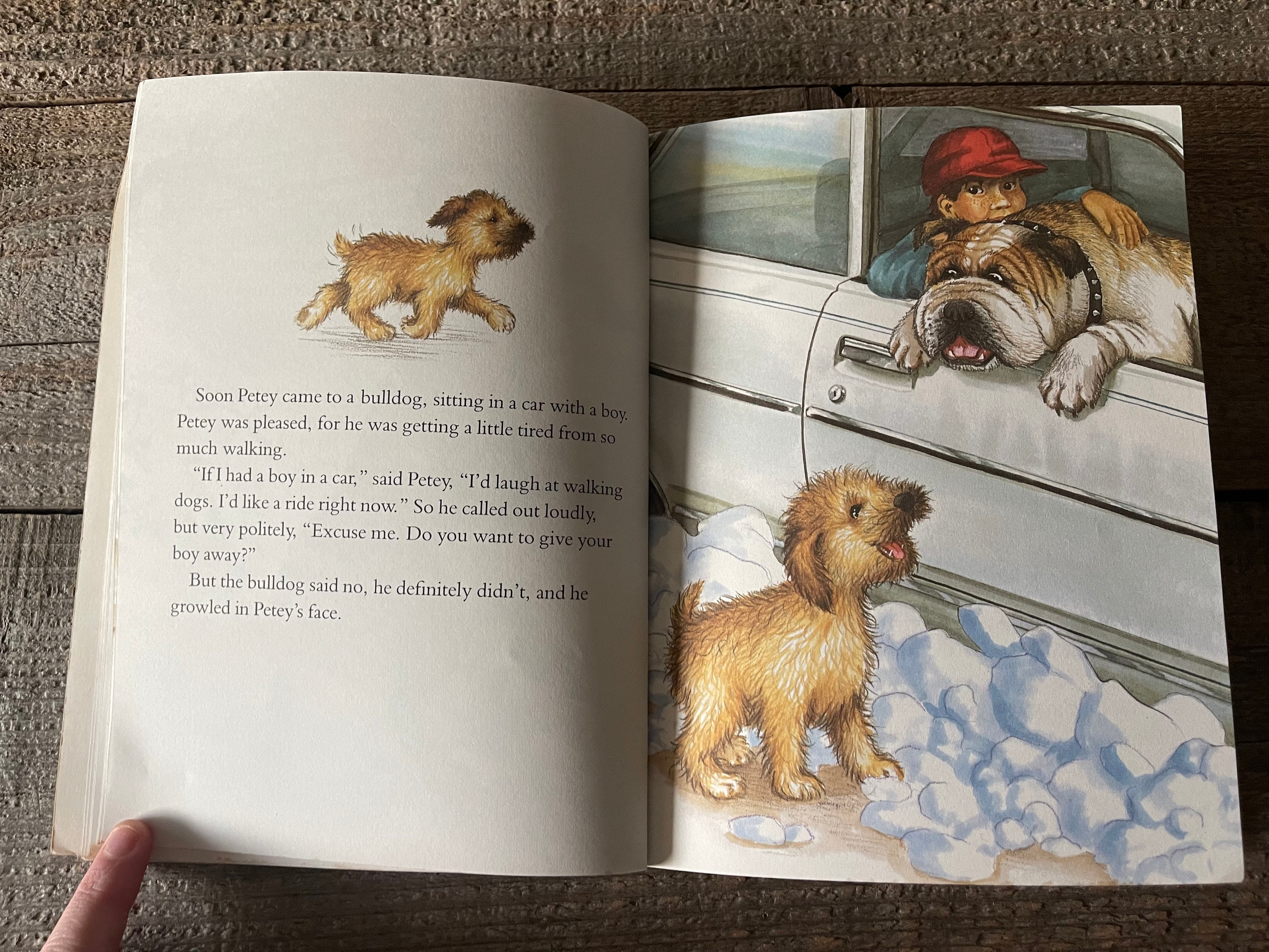 The Puppy Who Wanted A Boy // Jane Thayer // First Mulberry - Etsy