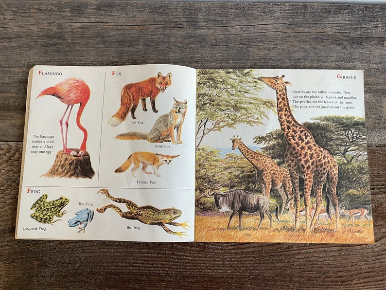 Wild Animals Book: Arthur Singer, 1973 - Etsy