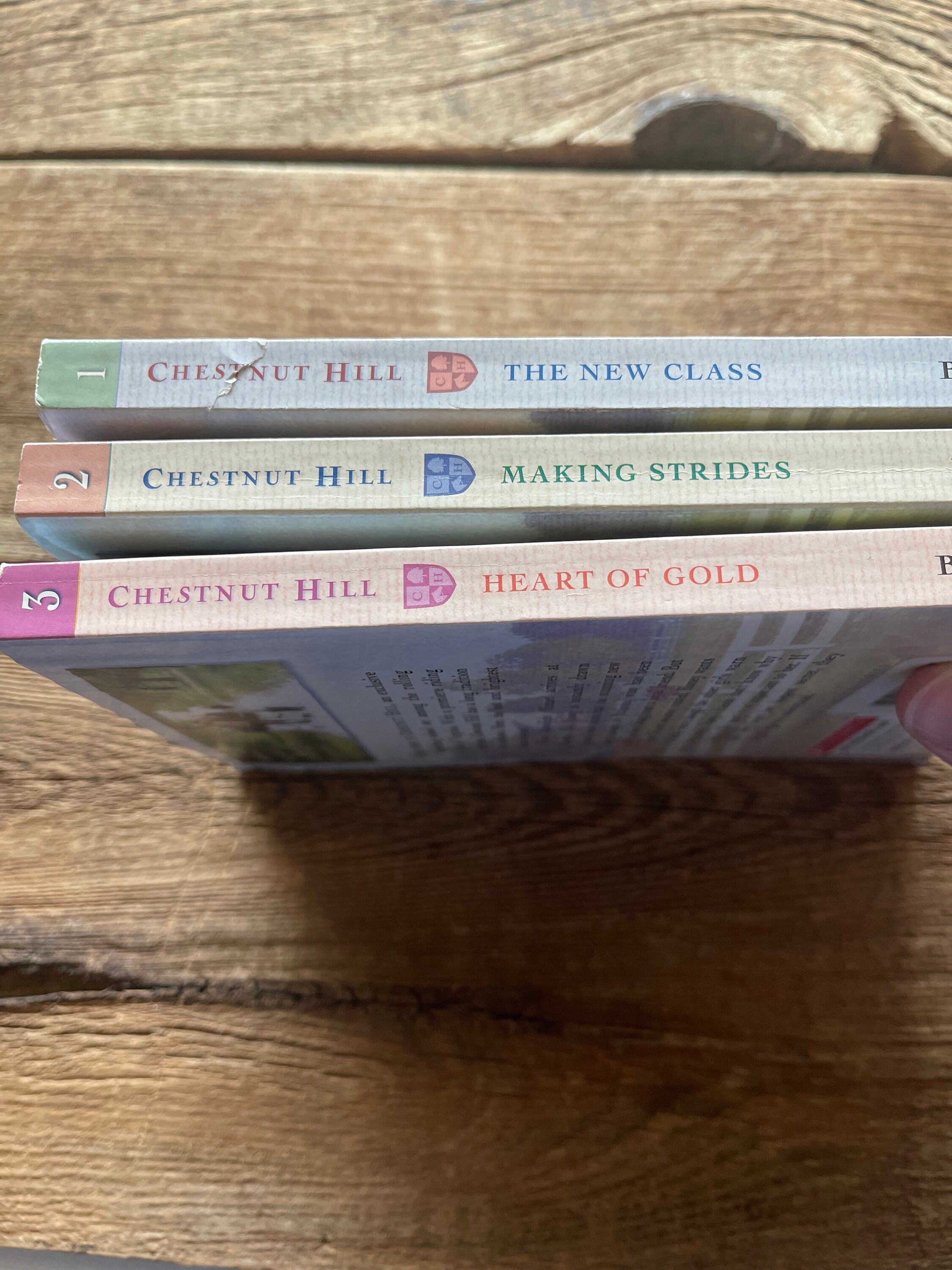 Chestnut Hill Series Books // Sold Individually // Lauren Brooke ...