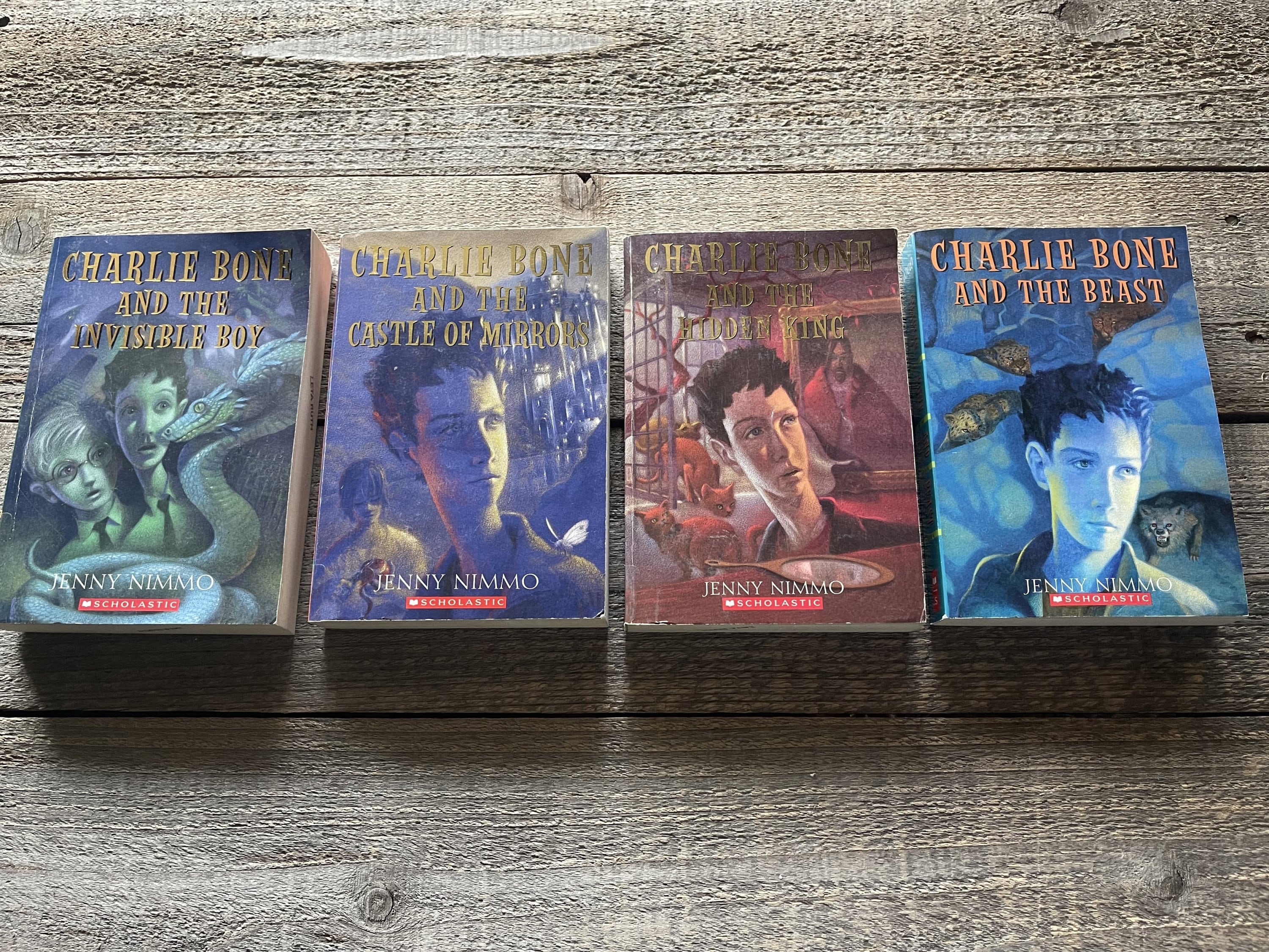 Charlie Bone, Children of the Red King Book Series // You Choose ...