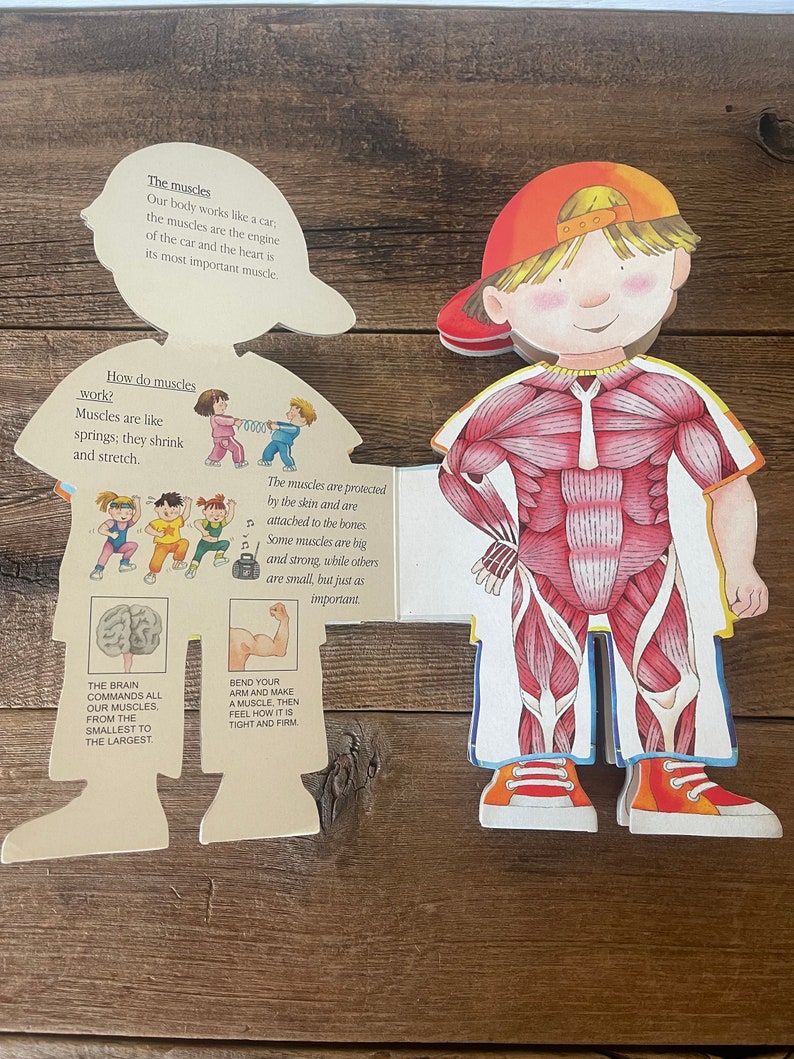 My Own Five Senses & My Own Human Body // Vintage 2002 Barron - Etsy