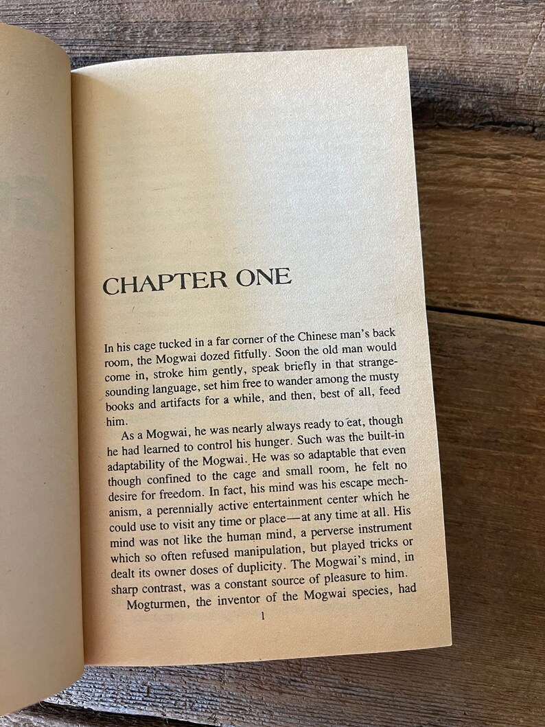 Gremlins // Steven Spielberg // Vintage Book // First Avon - Etsy