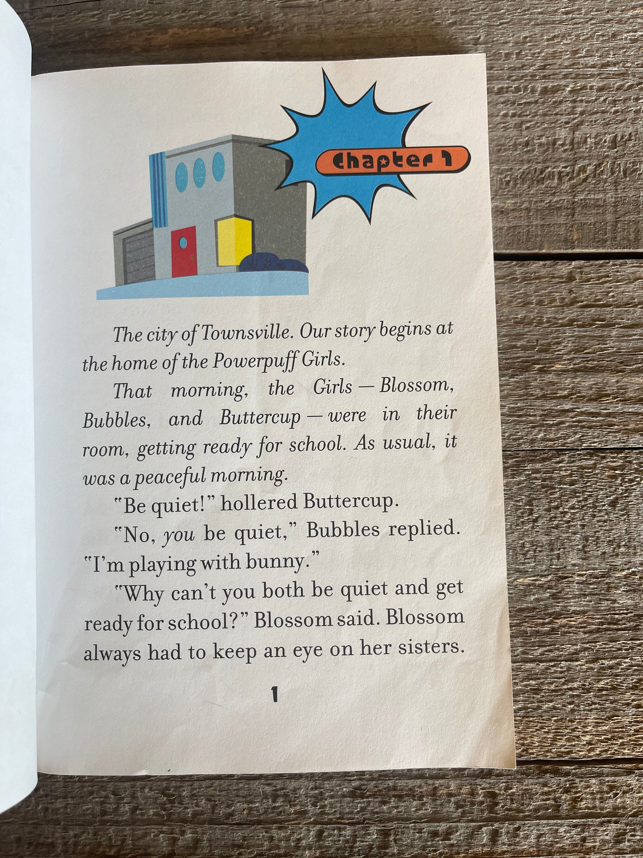 The Powerpuff Girls Chapter Book // Book 2 All Chalked up // - Etsy