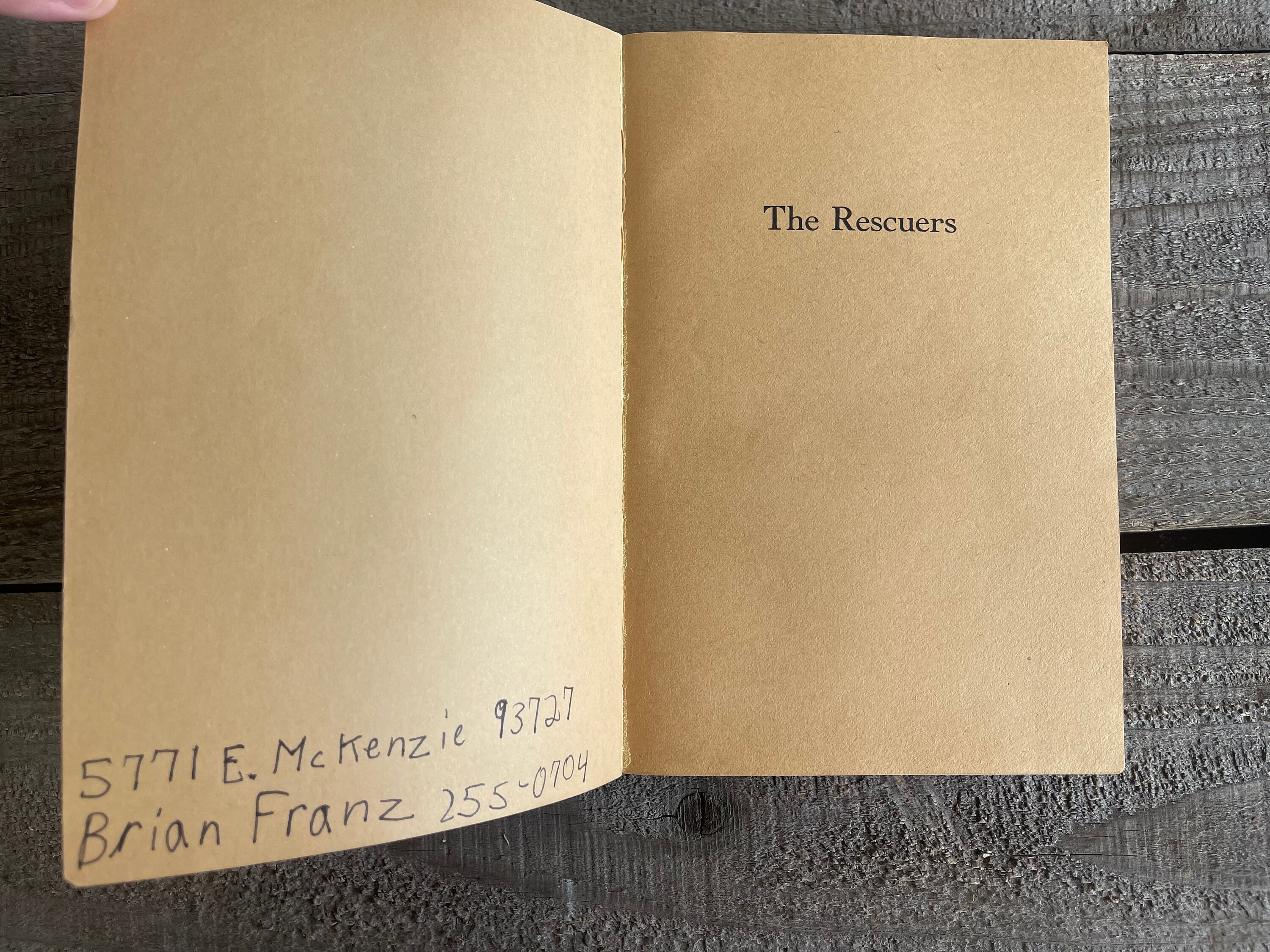The Rescuers by Margery Sharp // Garth Williams // 1977 Dell - Etsy