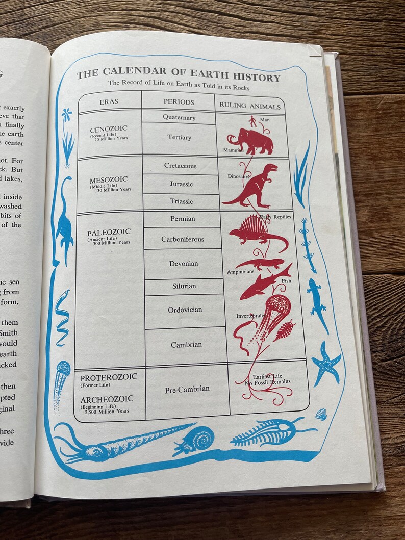 Dinosaurs and Other Prehistoric Animals // Darlene Geis R.F. - Etsy