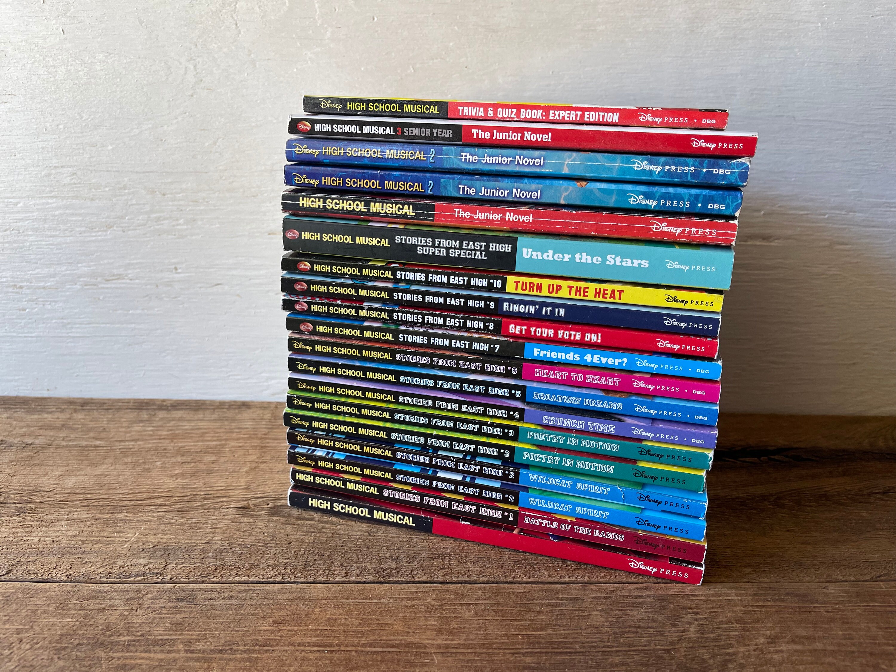 High School Musical Books // You Choose // Based on Disney - Etsy