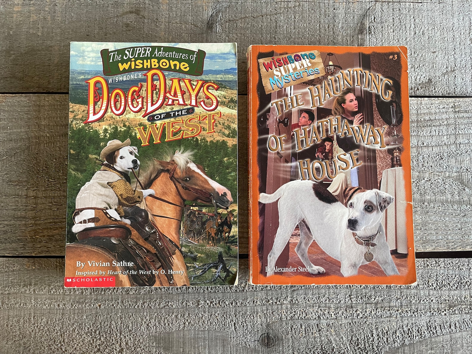 Vintage Wishbone Books: 1990s PBS Children's Series - You Choose - Etsy