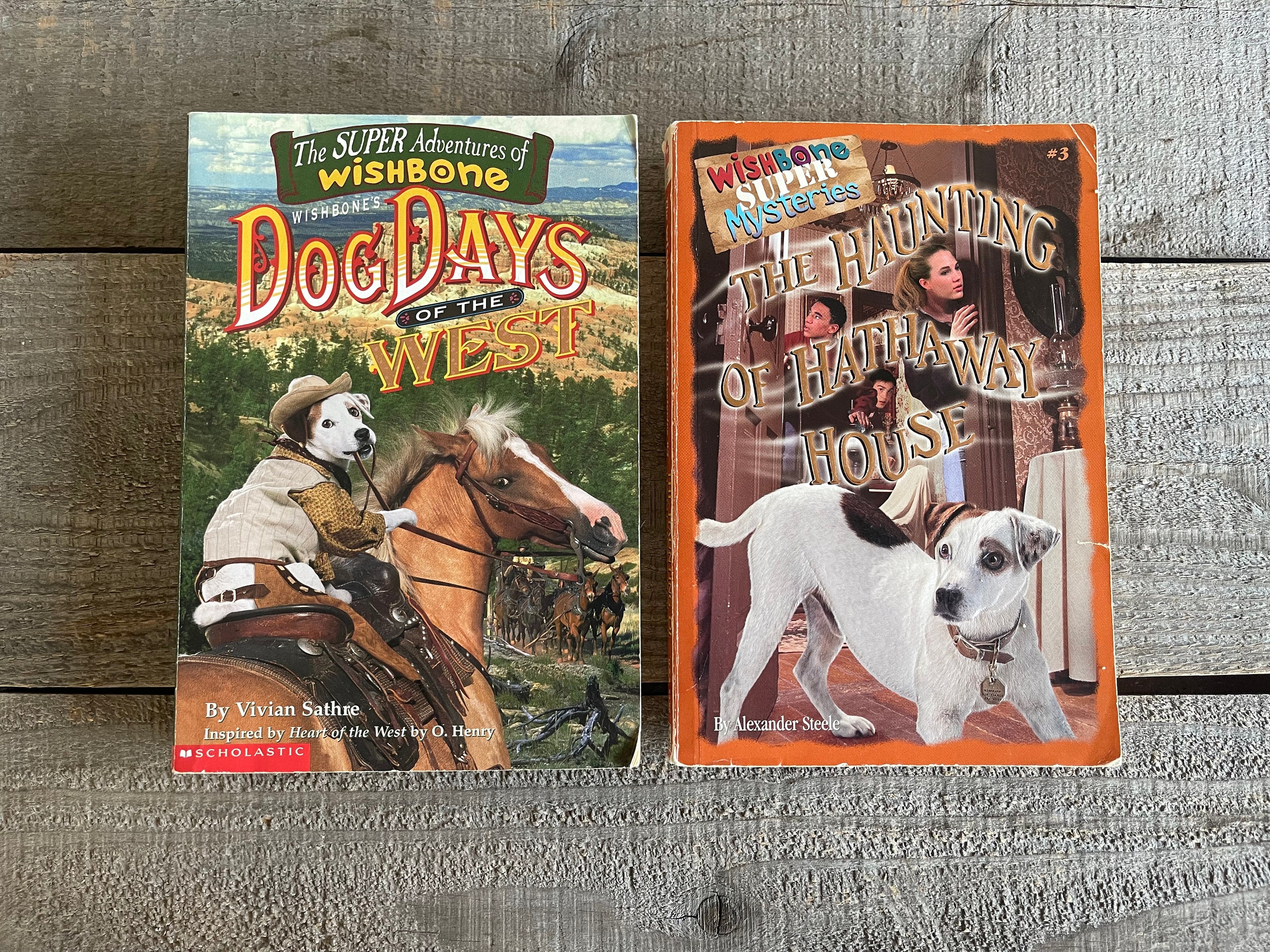 Vintage Wishbone Books: 1990s PBS Children's Series - You Choose - Etsy