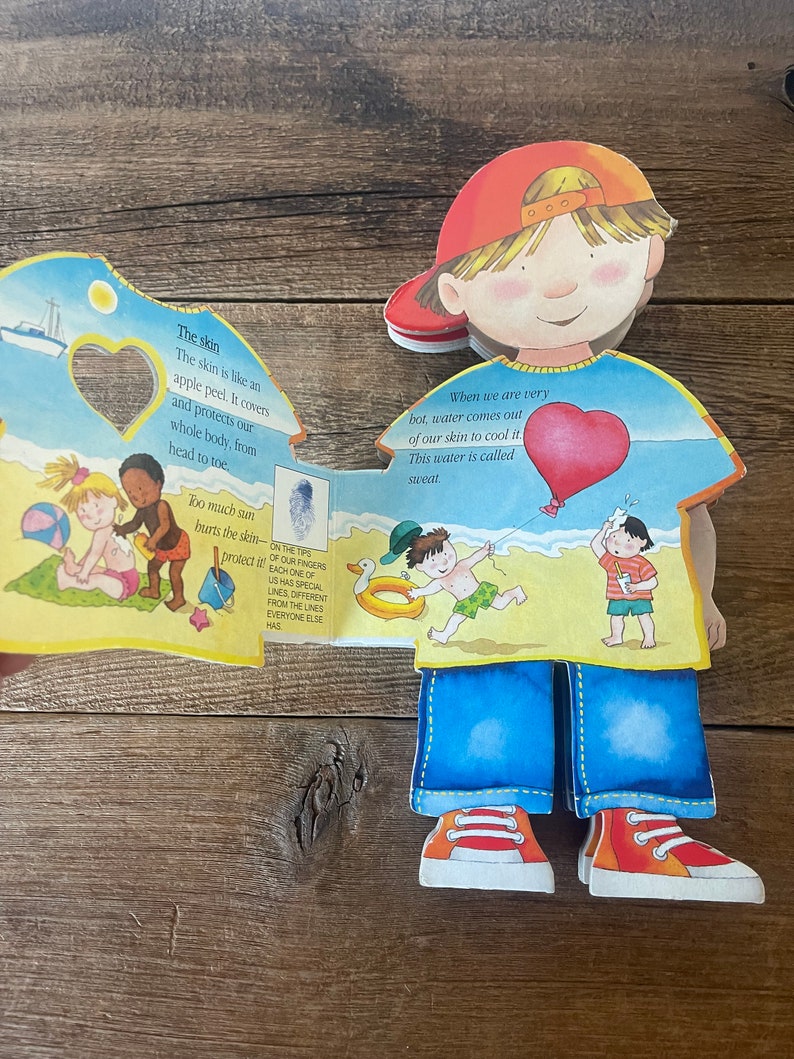 My Own Five Senses & My Own Human Body // Vintage 2002 Barron - Etsy