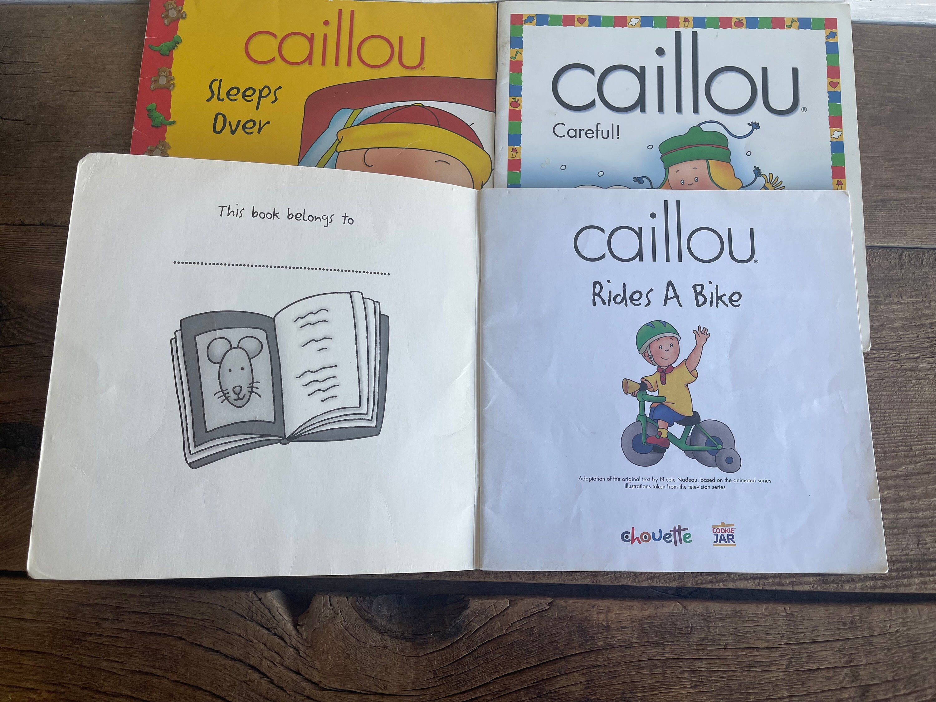 Caillou Books // You Choose // 2000 // PBS Kids - Etsy